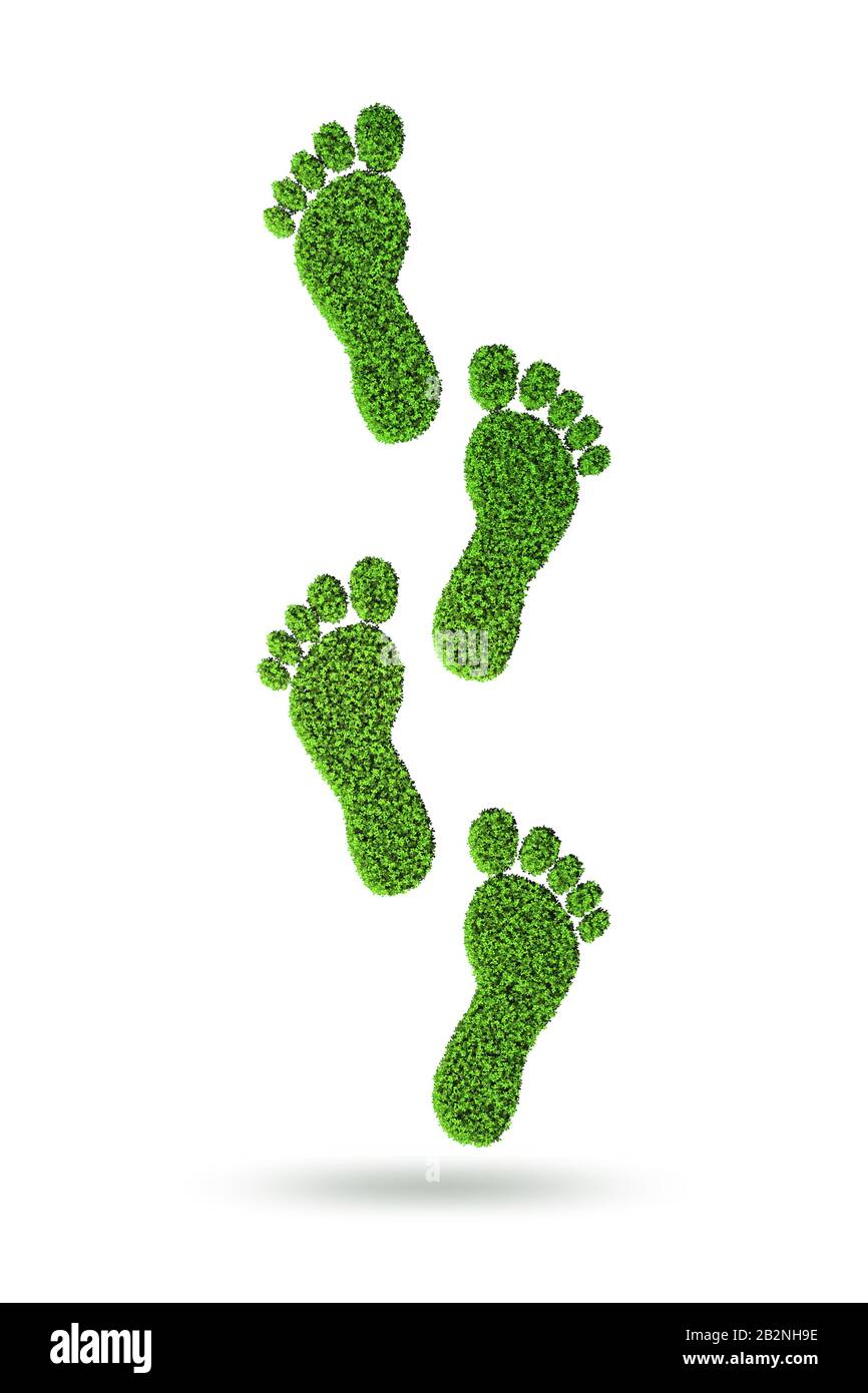 The carbon footprint concept - 3d rendering Stock Photo - Alamy