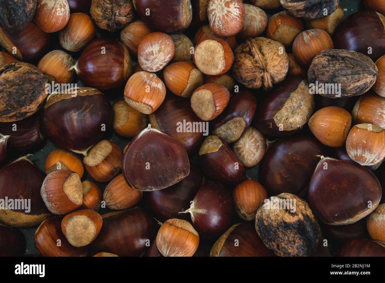 Real chestnuts hi-res stock photography and images - Alamy