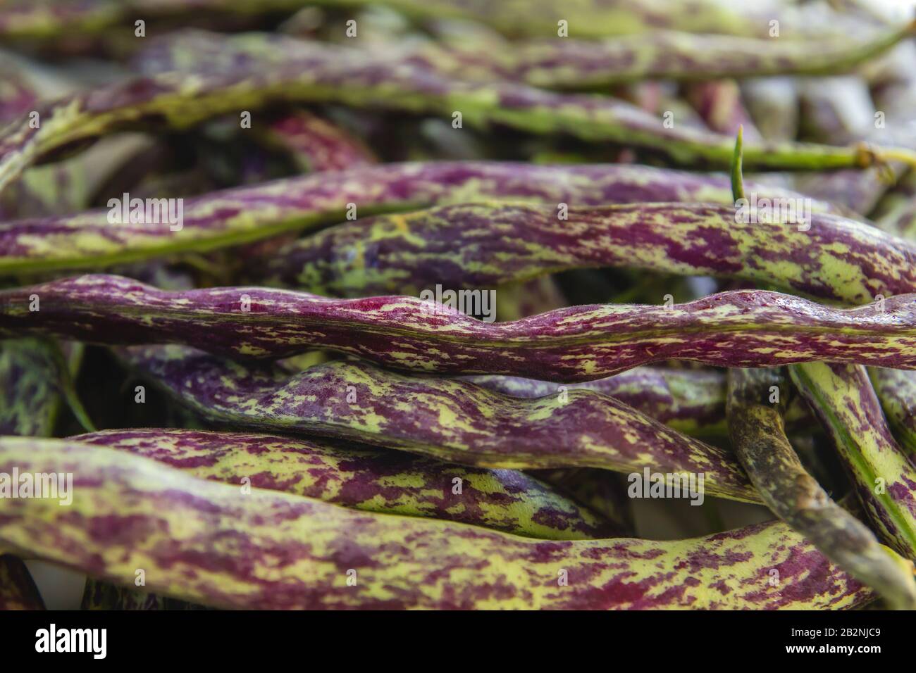 Stained purple hi-res stock photography and images - Alamy