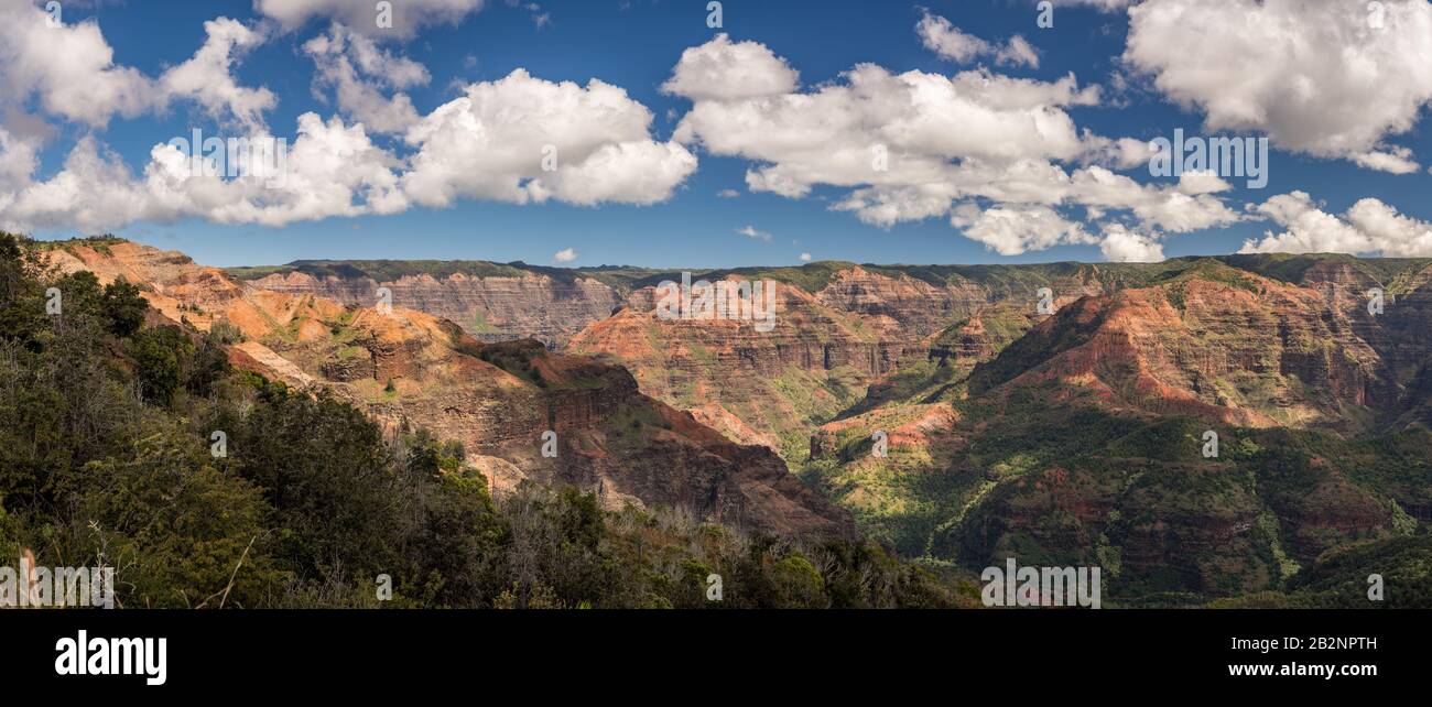 Broad panorama of the red rocks of Waimea canyon from the Iliau Nature ...