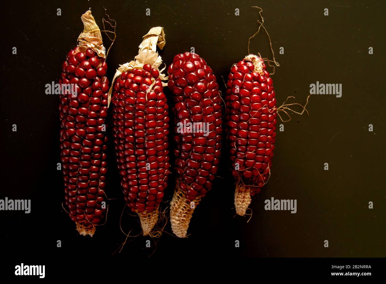 Maize kernels mexico hi-res stock photography and images - Alamy