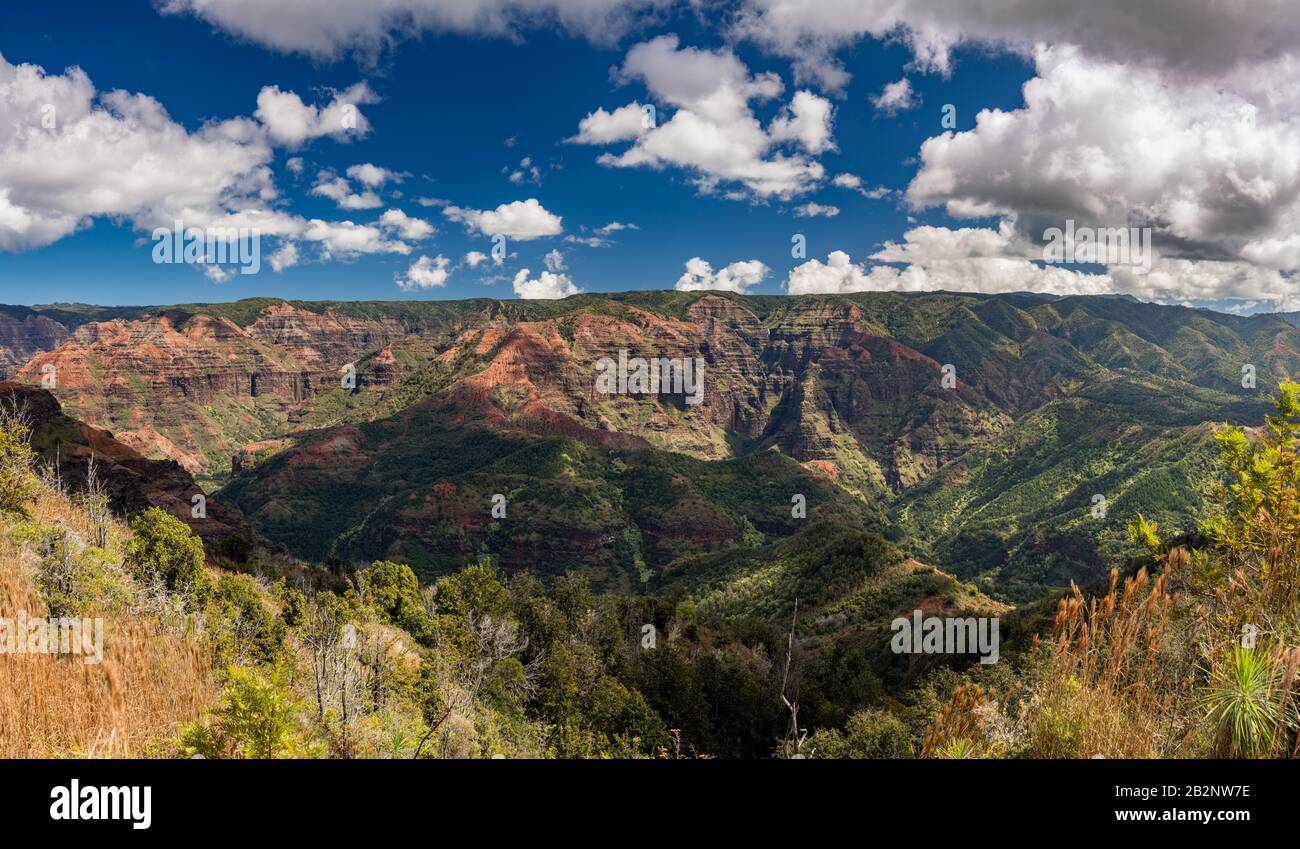 Broad panorama of the red rocks of Waimea canyon from the Iliau Nature ...
