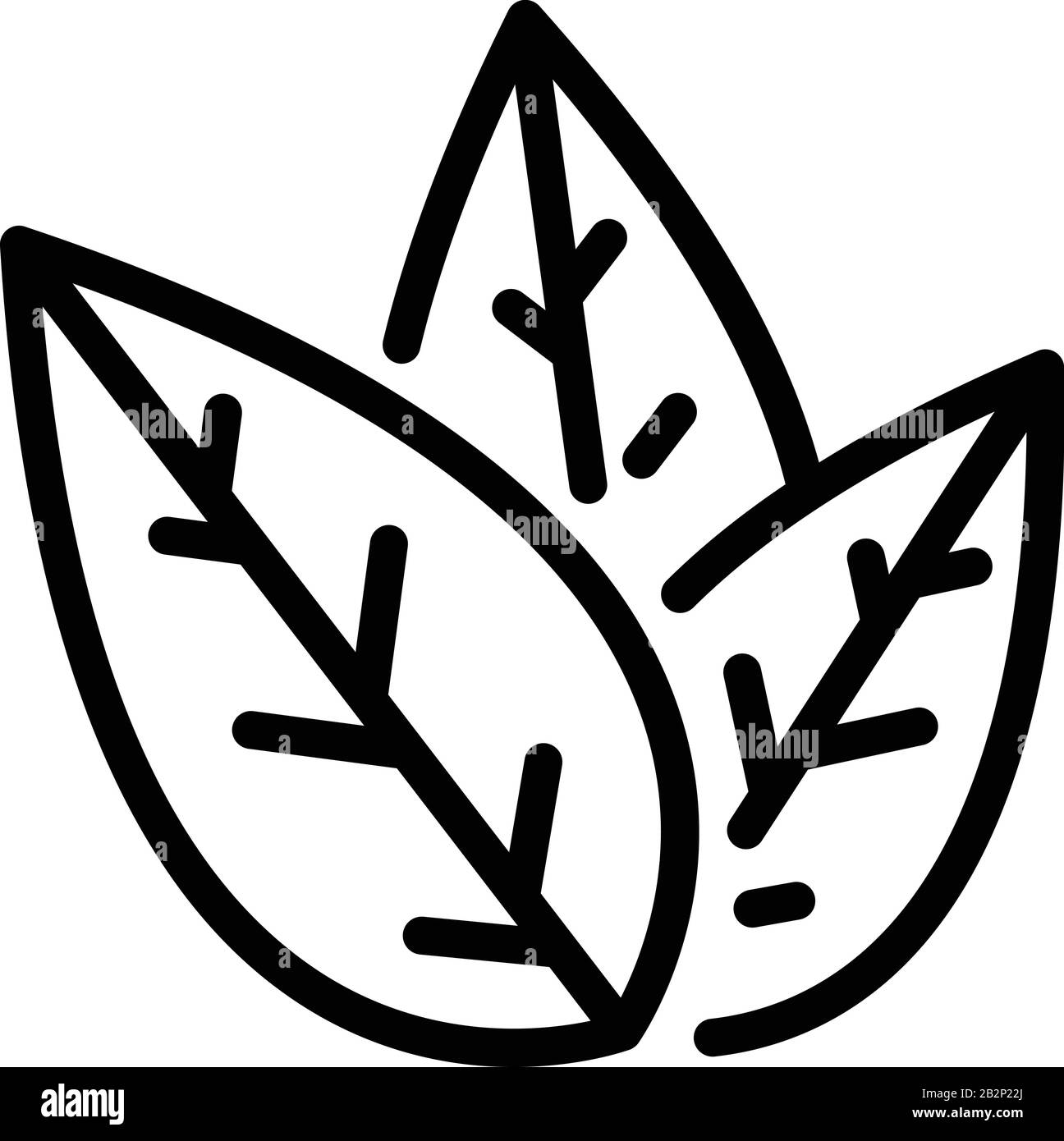 Tea leaf icon, outline style Stock Vector Image & Art - Alamy