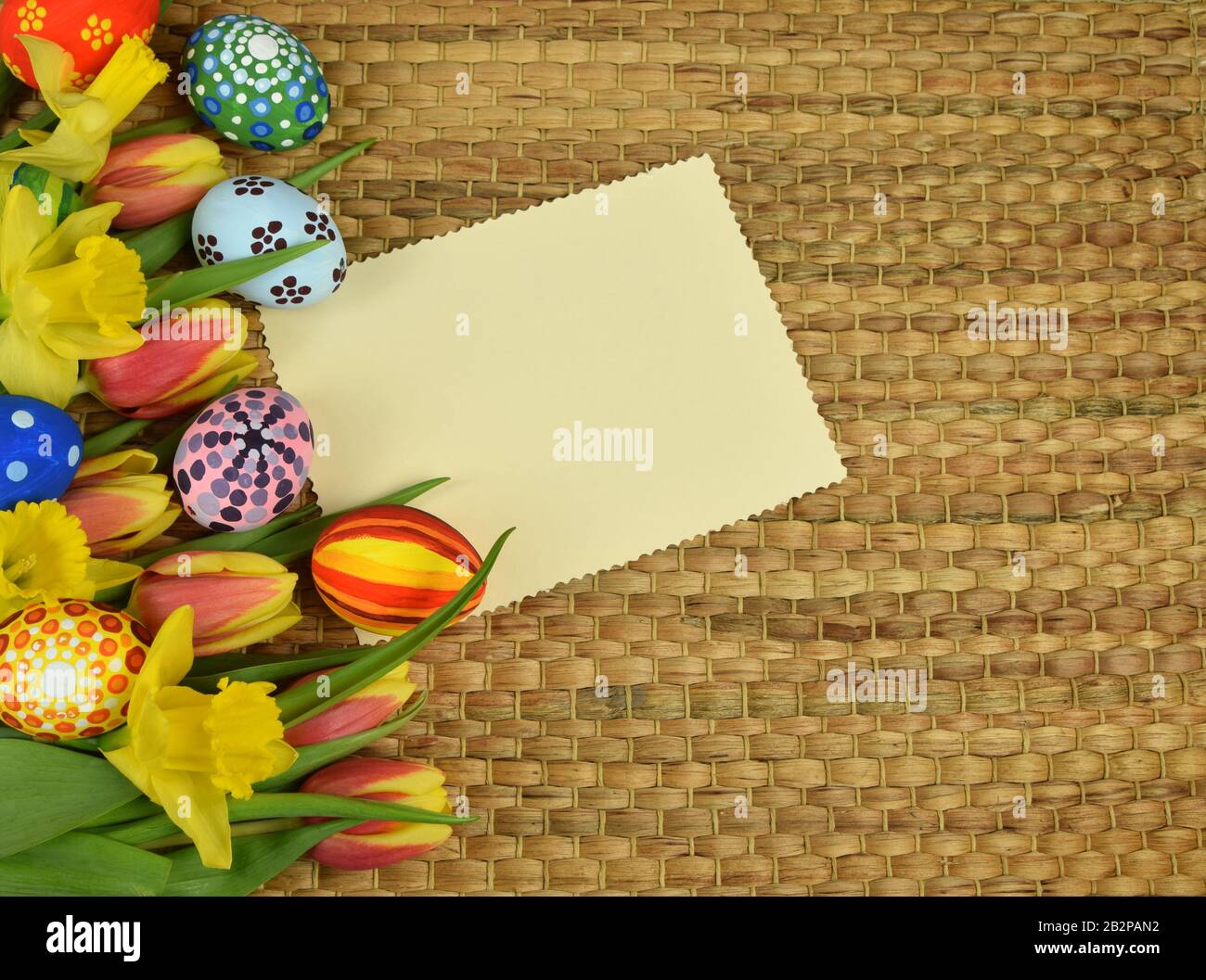 Happy Easter - painted eggs and daffodils on colored background Stock ...