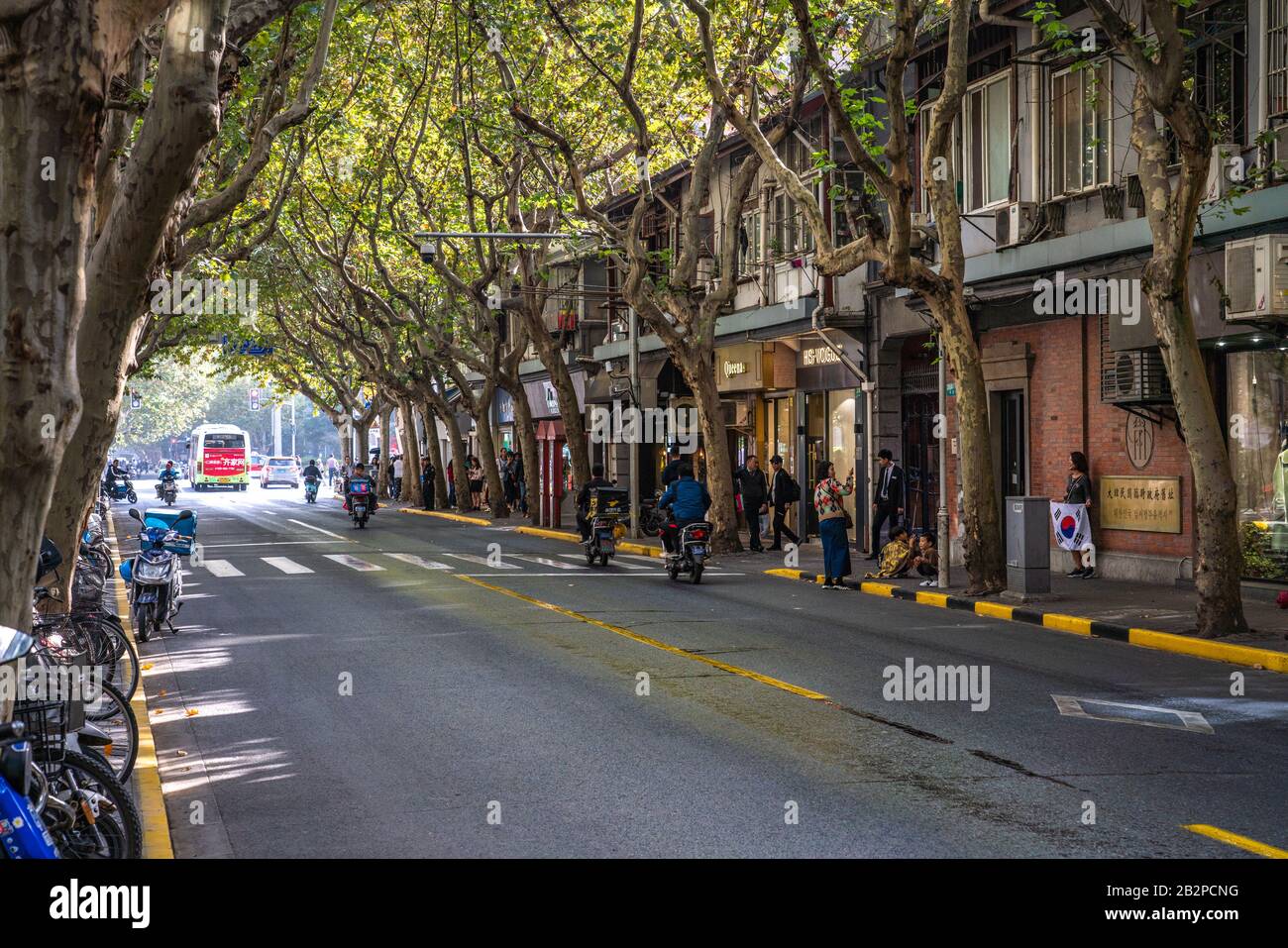 SHANGHAI, CHINA, OCTOBER 31: Tree lined luxury shopping street in the ...