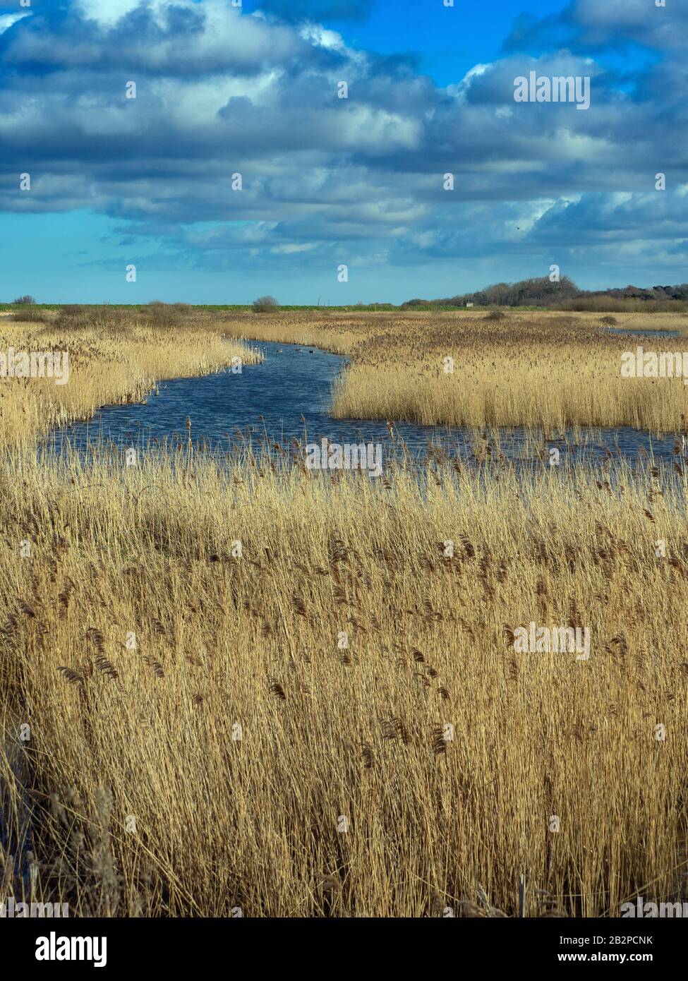 The RSPB Nature reserve and beach at Titchwell Marsh Norfolk Stock ...