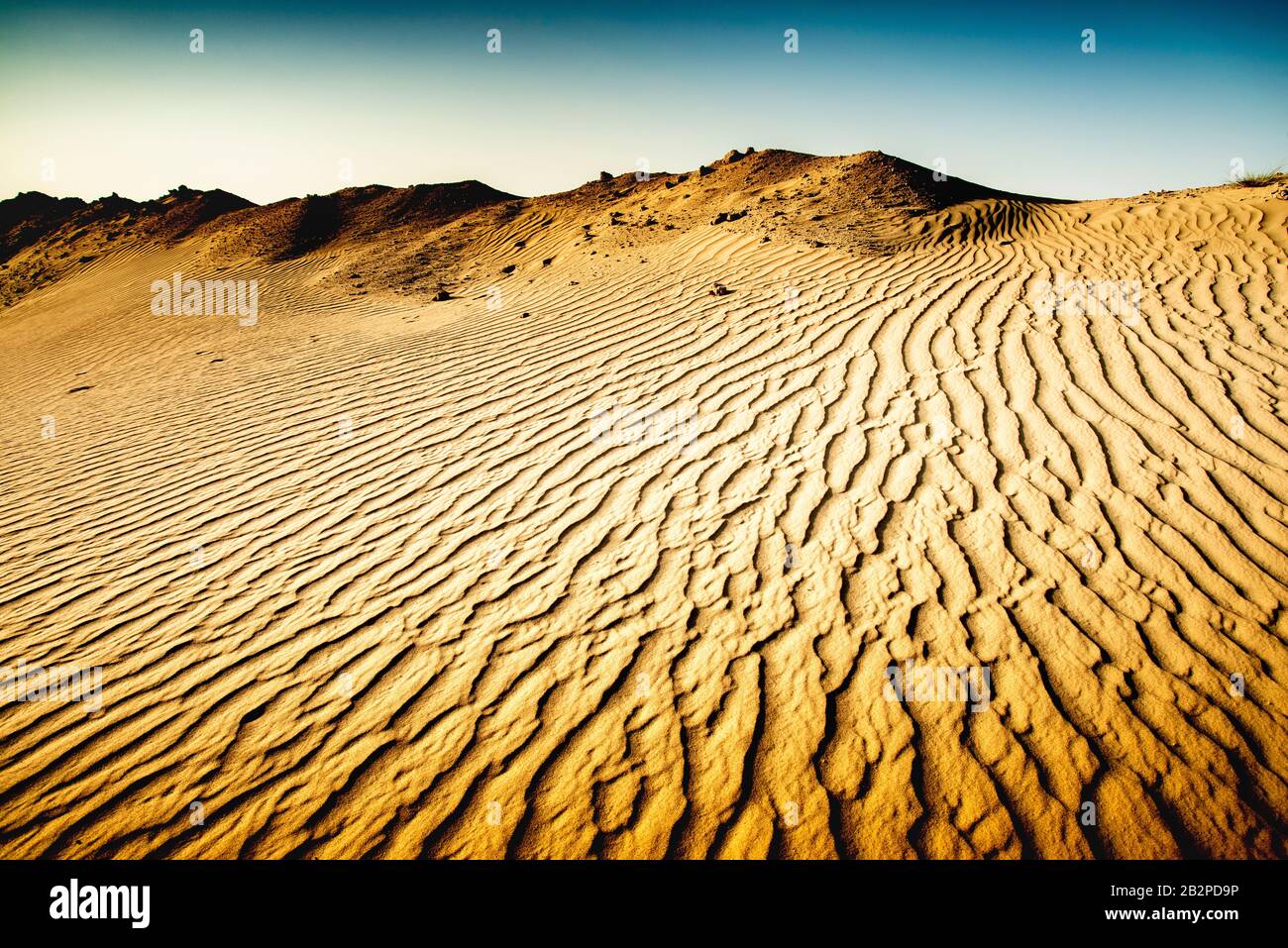 color image taken at dusk, abstract view of ripple sand patterns ...