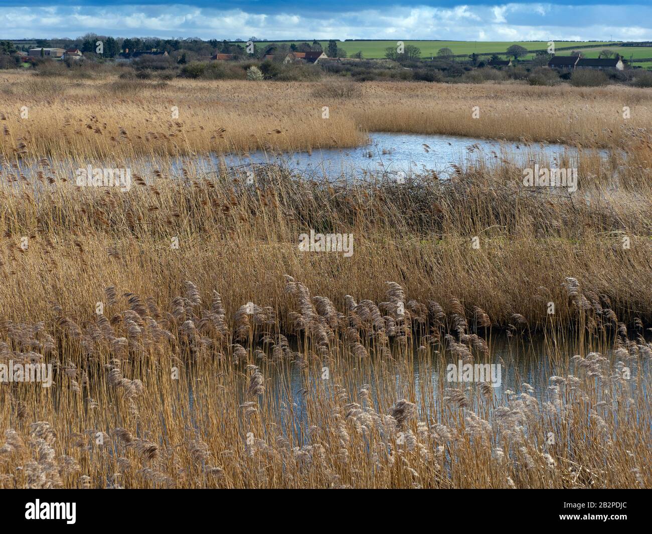 The RSPB Nature reserve and beach at Titchwell Marsh Norfolk Stock ...