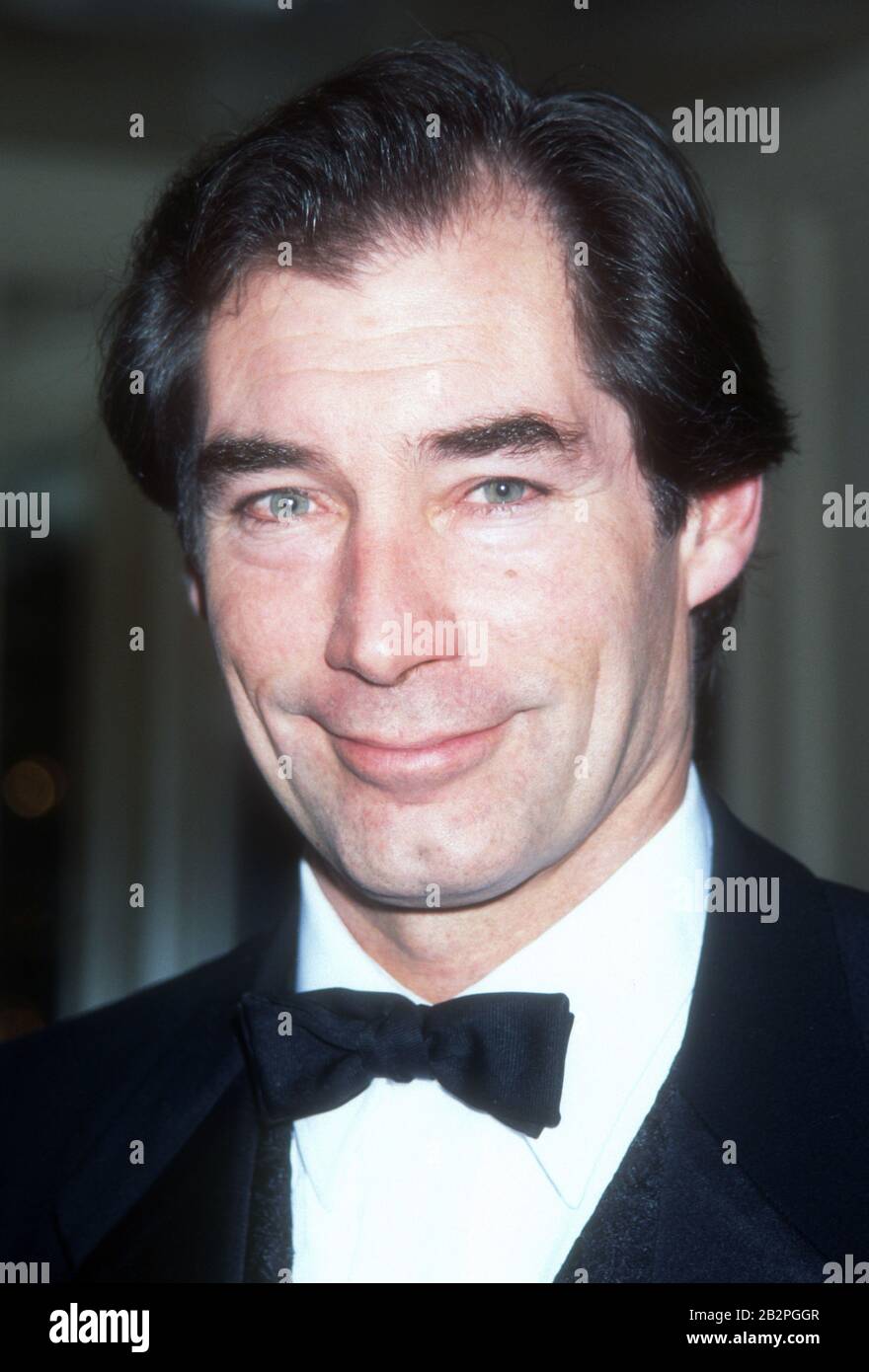 Timothy Dalton, 1994, Photo By Michael Ferguson/PHOTOlink Stock Photo ...