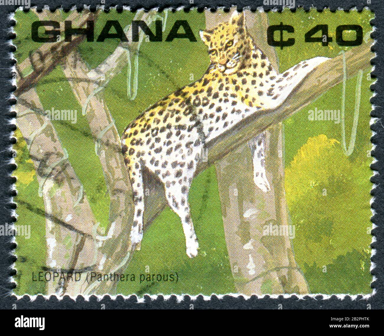 GHANA - CIRCA 1990: A stamp printed in Ghana, depicted the animal of ...