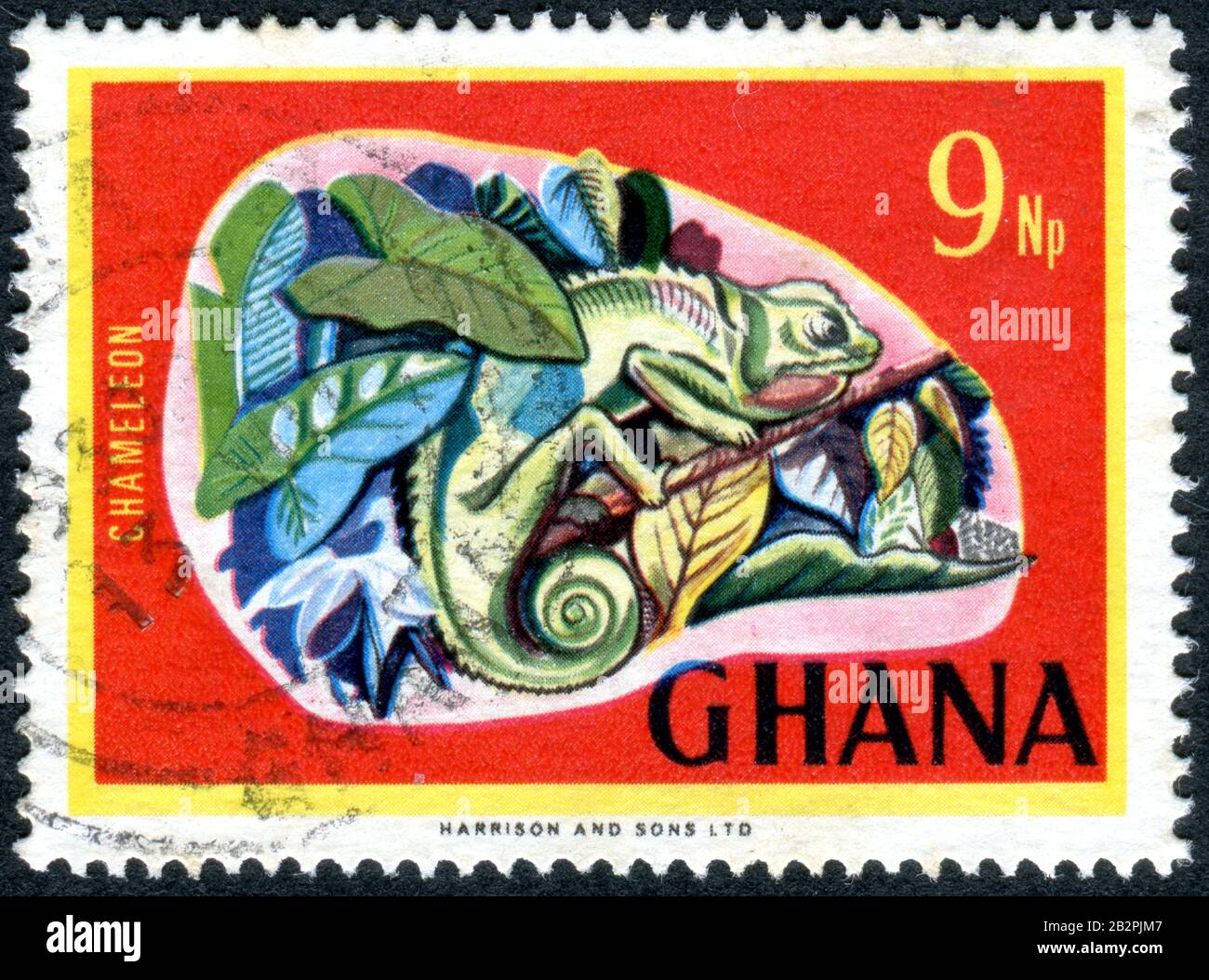 GHANA - CIRCA 1967: A stamp printed in Ghana, depicted the Chameleon ...