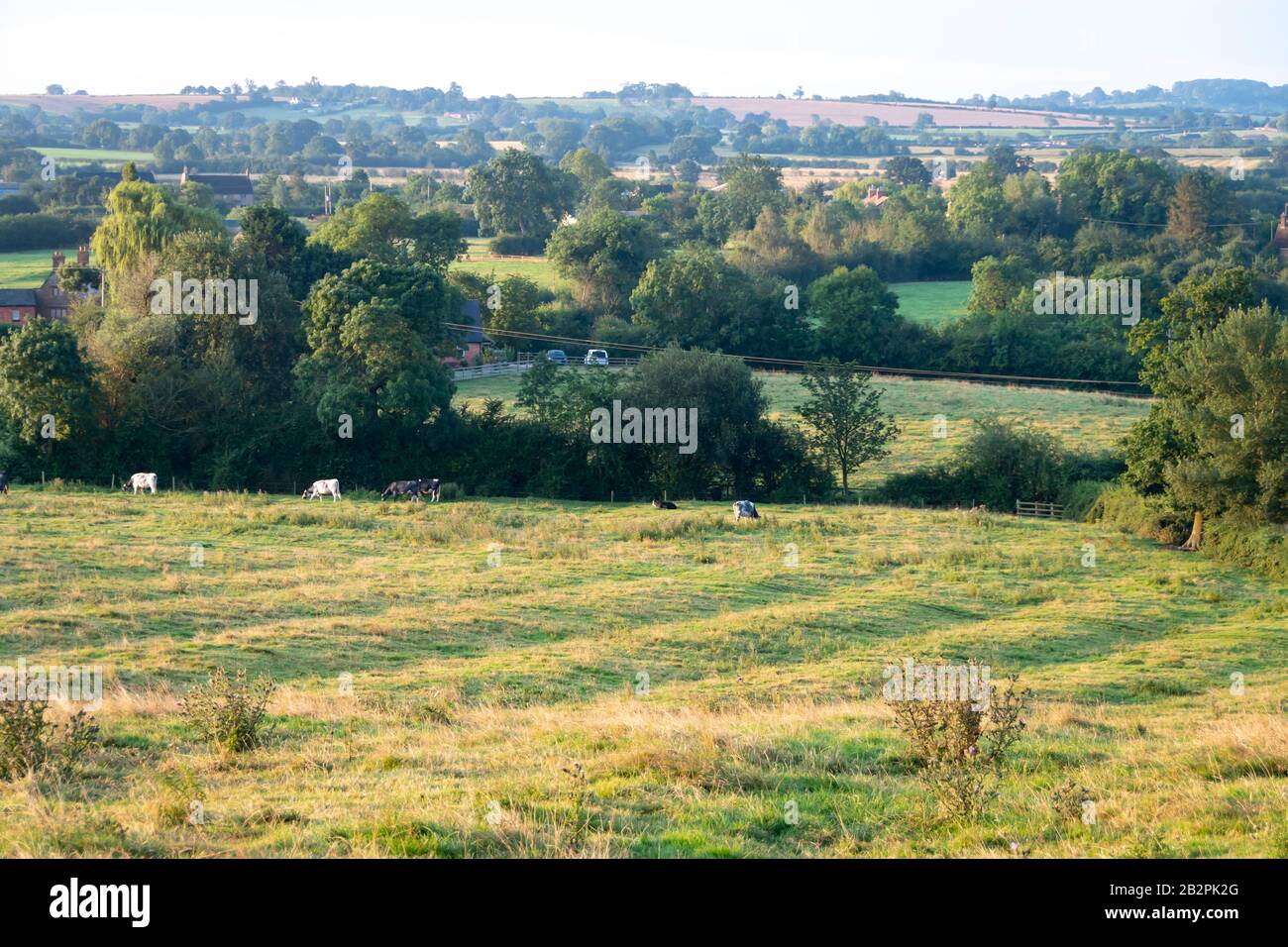 Strips field hi-res stock photography and images - Alamy