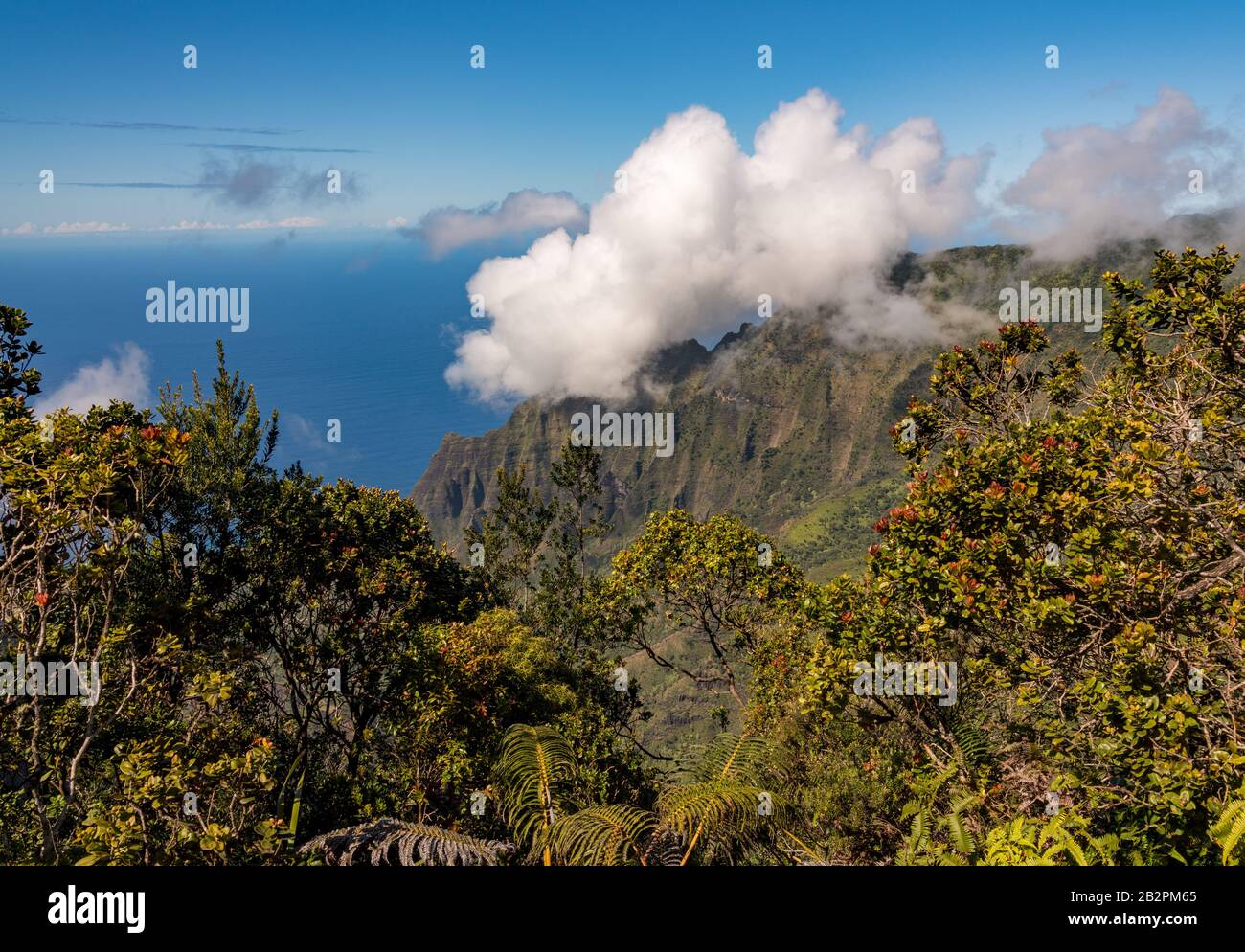 Fluted rocks of the Na Pali mountains with clouds forming over the ...