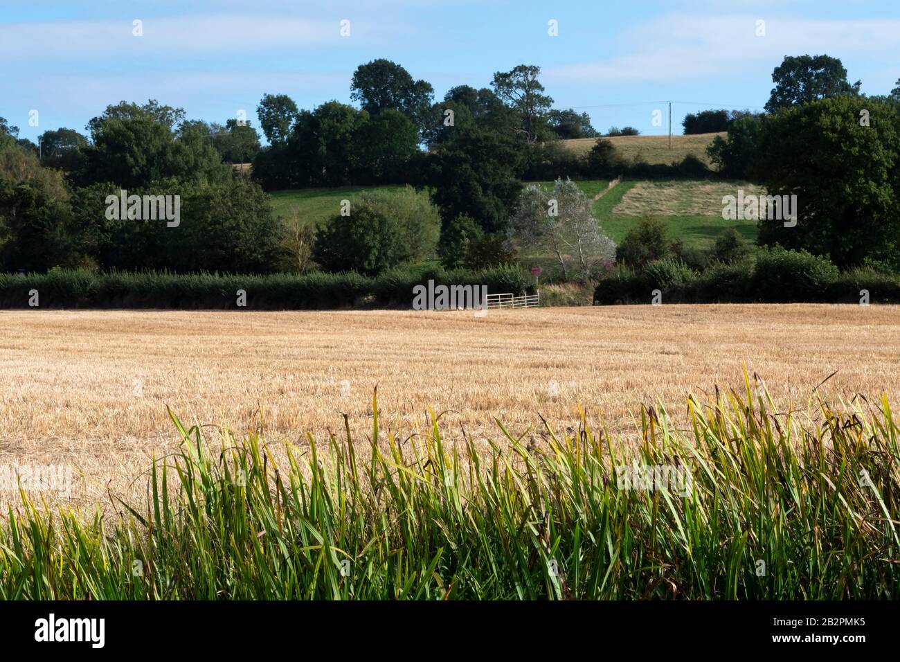 Napton on the Hill, near Rugby, Warwickshire, England Stock Photo - Alamy