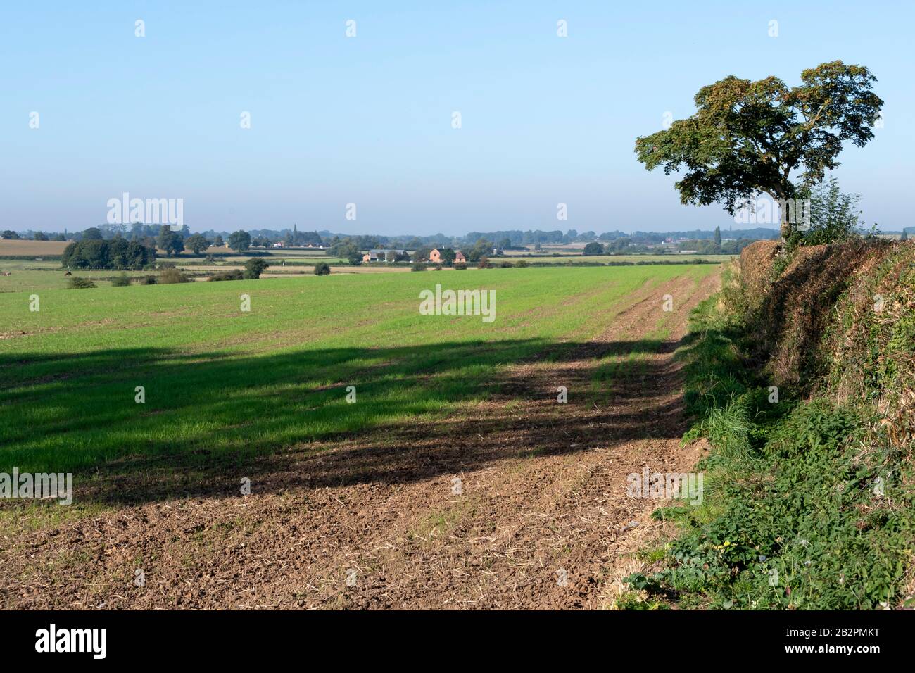 Kings newnham hi-res stock photography and images - Alamy