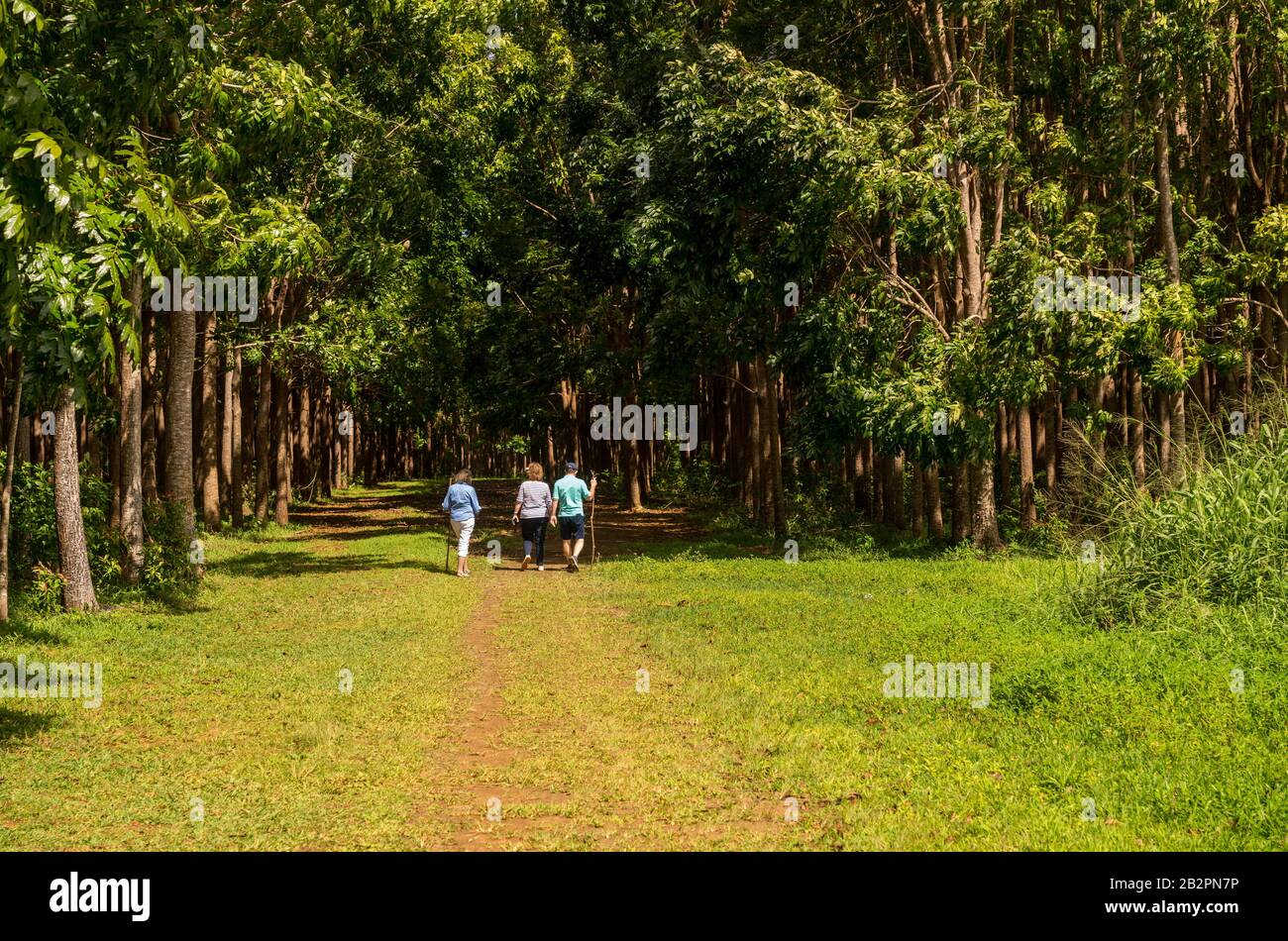 Senior adults hi-res stock photography and images - Alamy