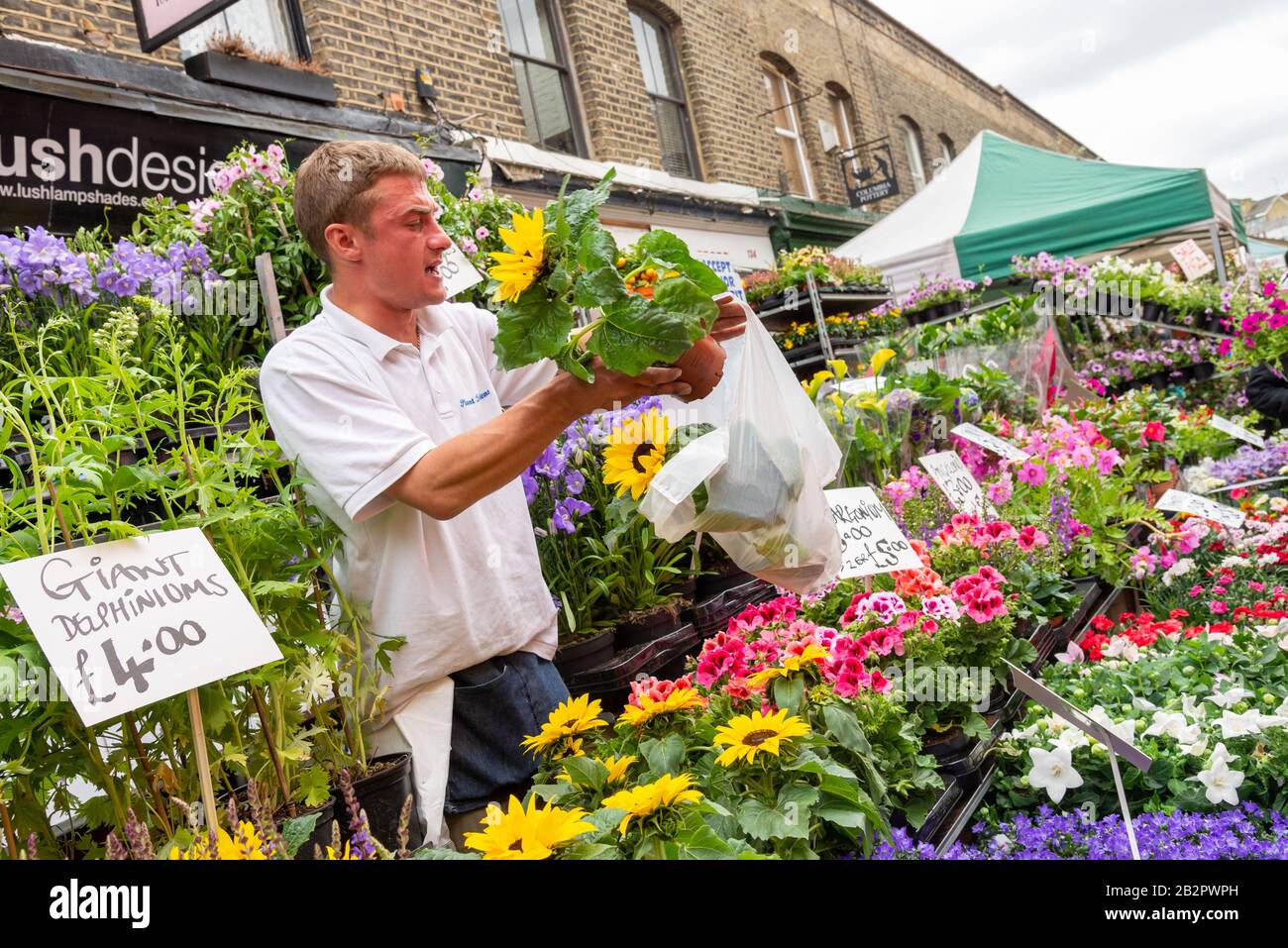 Selling flower market in hi-res stock photography and images - Alamy
