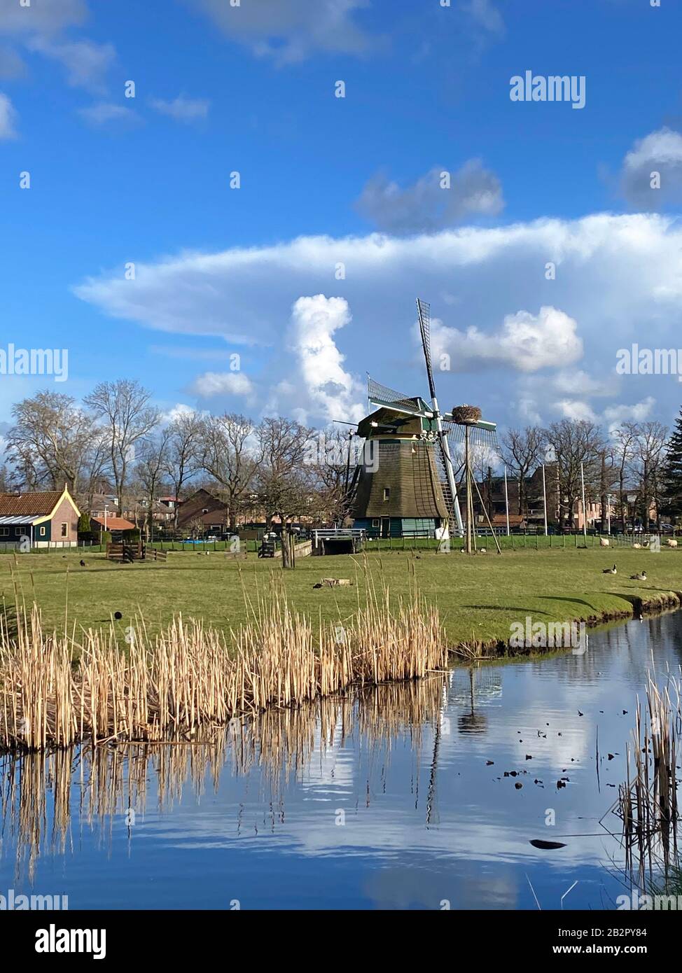 The Hague Netherlands Traditional Dutch Windmill at springtime green ...