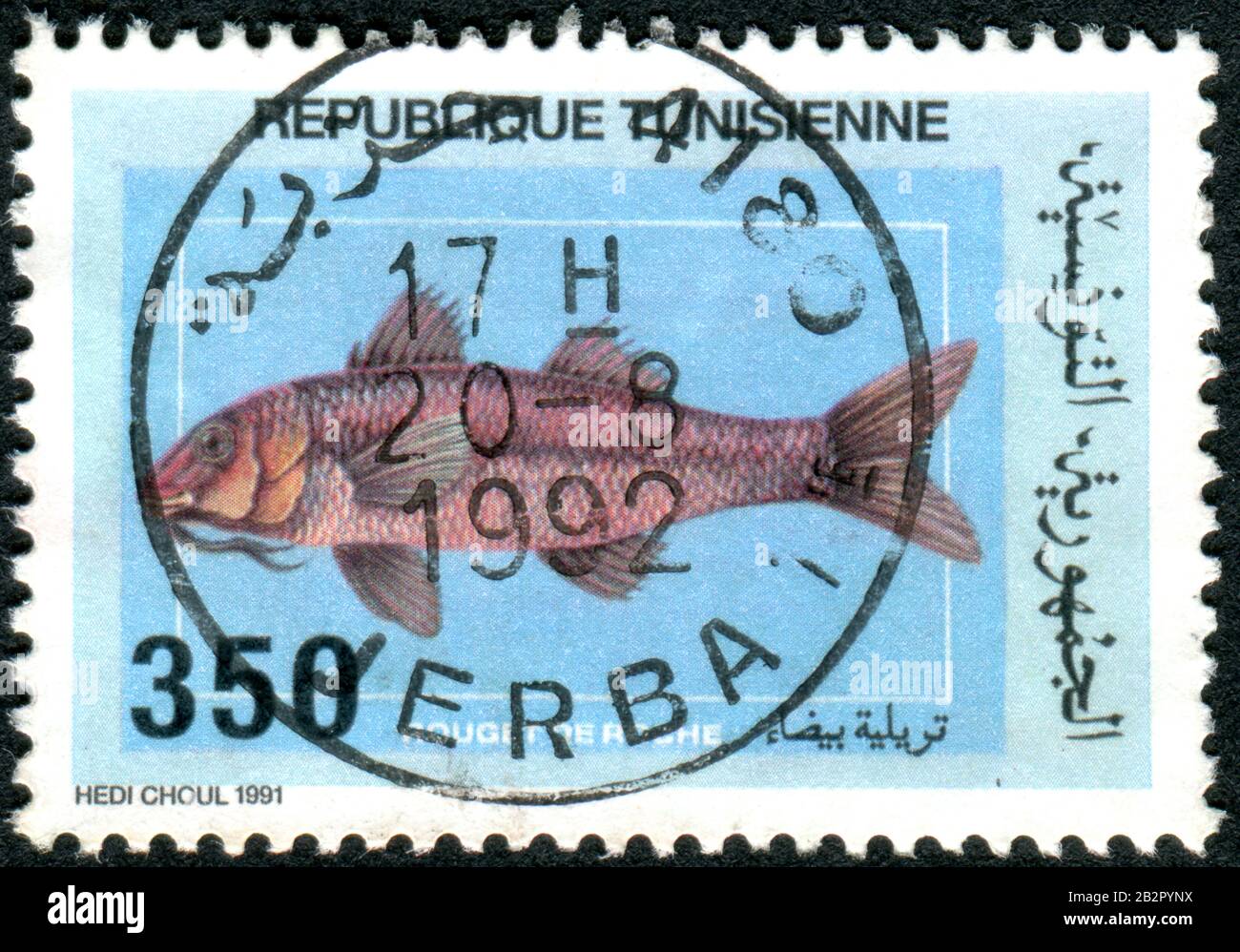 TUNISIA - CIRCA 1991: A stamp printed in Tunisia depicts the Striped ...