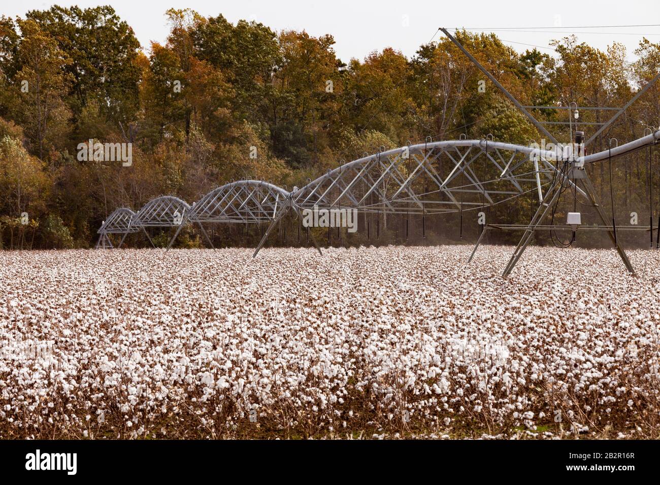 Irrigation mechanism in a cotton field in the countryside Stock Photo ...