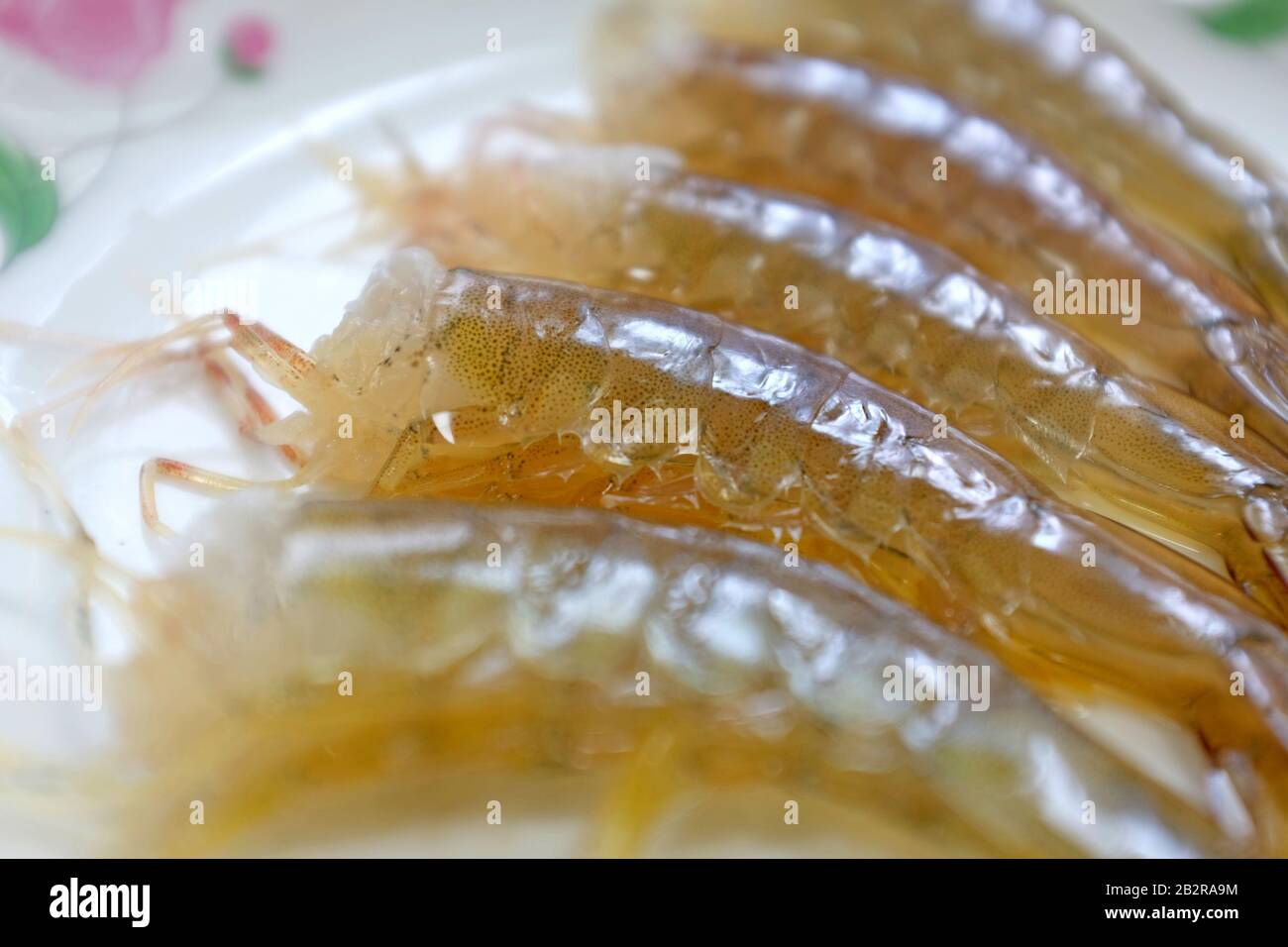 Closeup shot fresh shrimps hi-res stock photography and images - Alamy