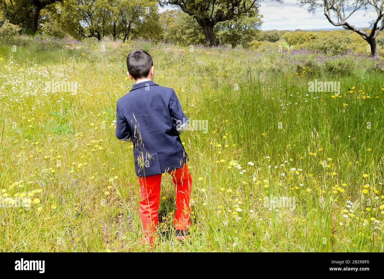 Child walking through leaves hi-res stock photography and images - Alamy