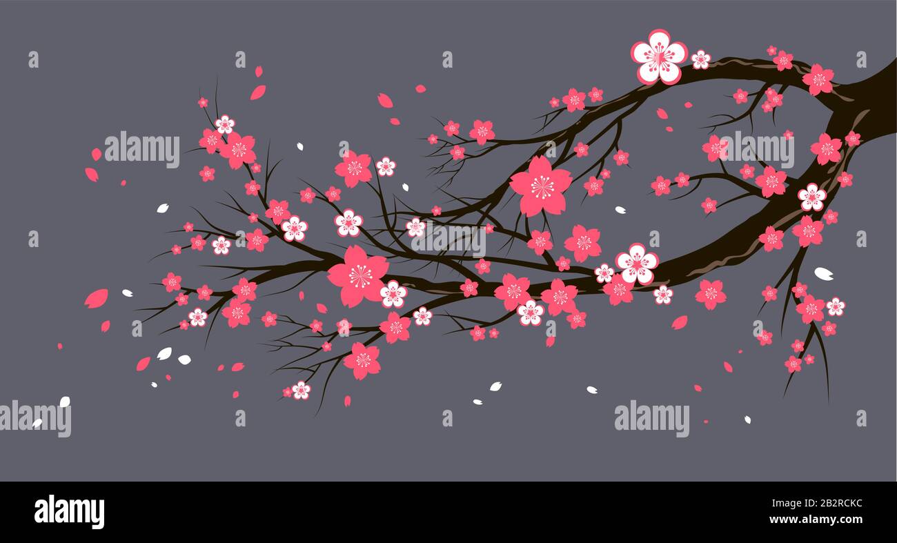 Cherry tree branch cute Stock Vector Images - Alamy