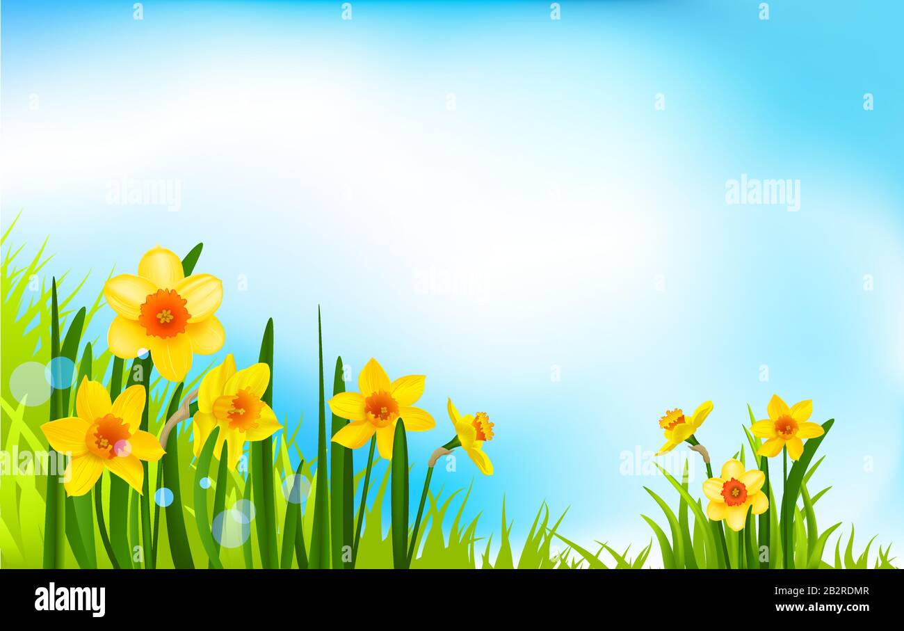 Spring Background Clipart Free