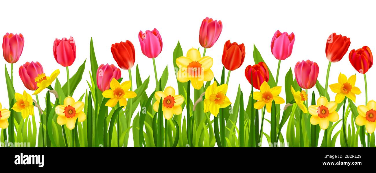 Spring Flowers Images Borders