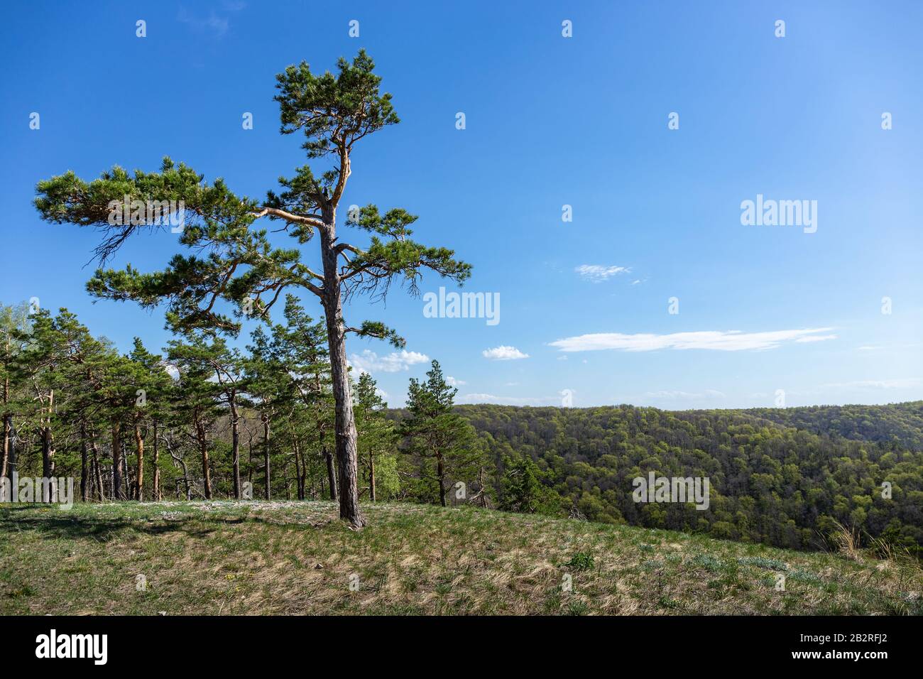 Zhiguli mountains hi-res stock photography and images - Alamy