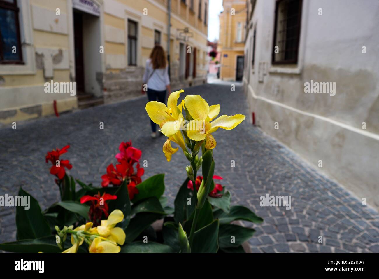 Beautiful baroque town of Varaždin Stock Photo - Alamy