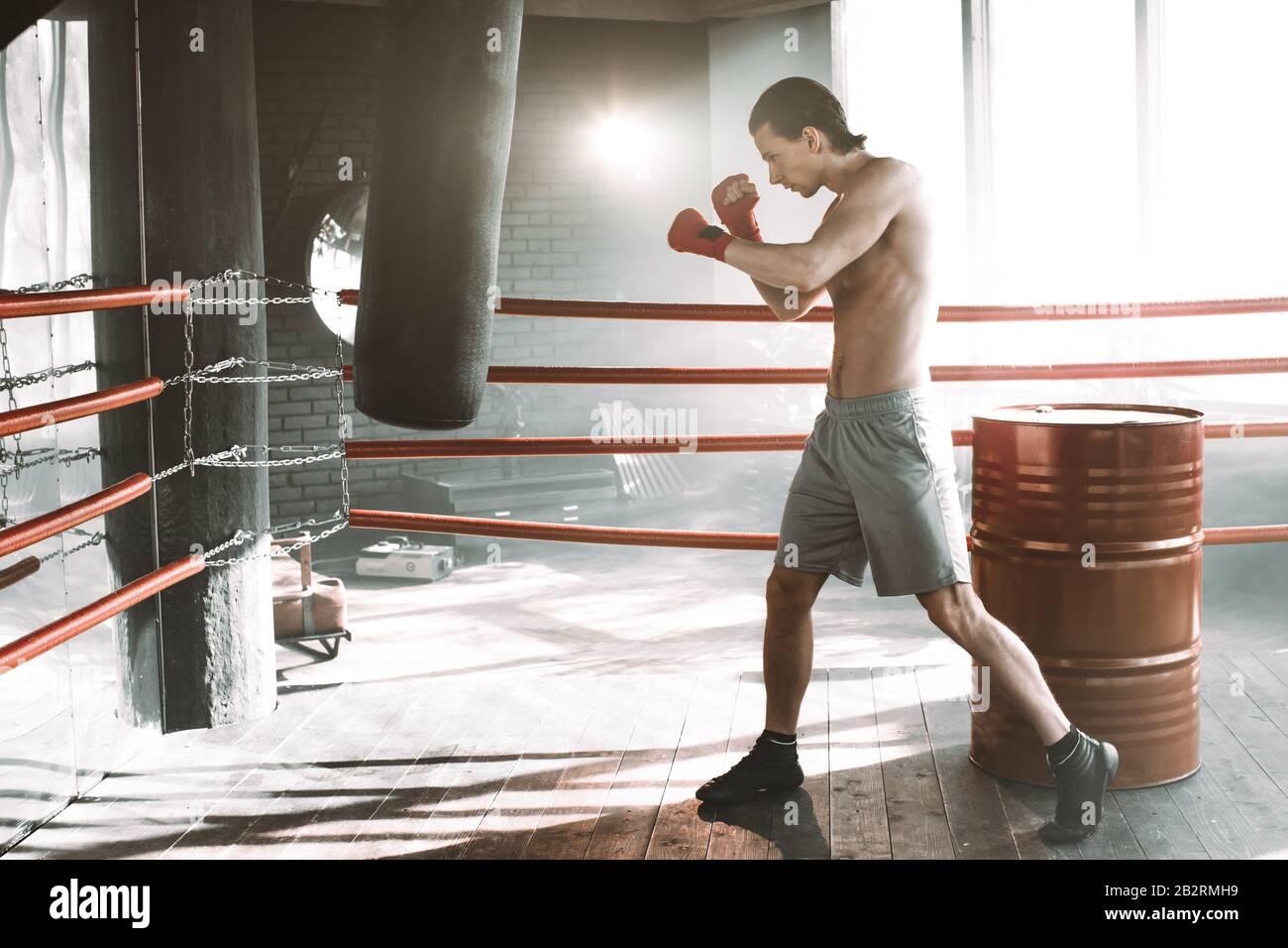 punching boxer on boxing ring, black bacground, horizontal photo Stock ...