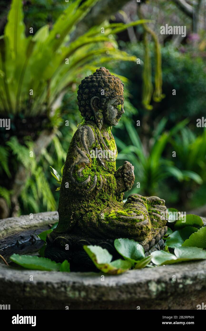 Close up moss covered statue hi-res stock photography and images - Alamy