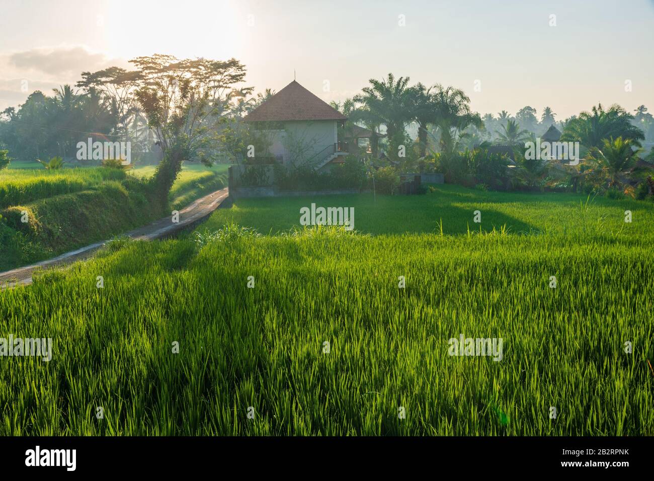 A path to a house hi-res stock photography and images - Alamy