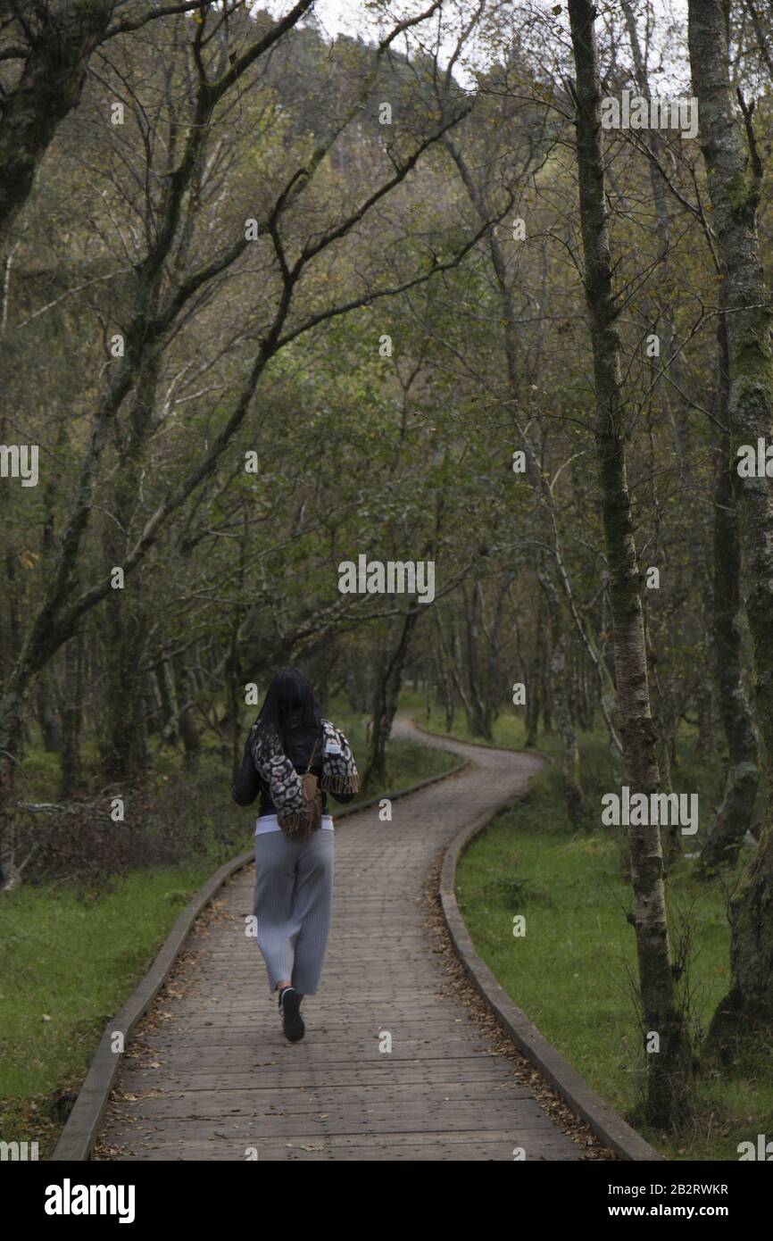 Walking through the park one autumn day Stock Photo - Alamy