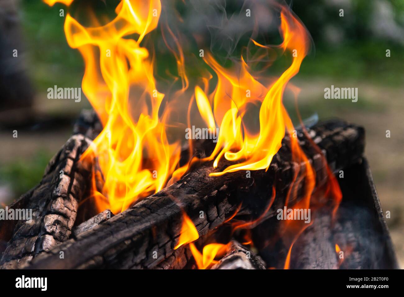 Burning fire. Flames with smoke rise up. Burning wood at close range ...