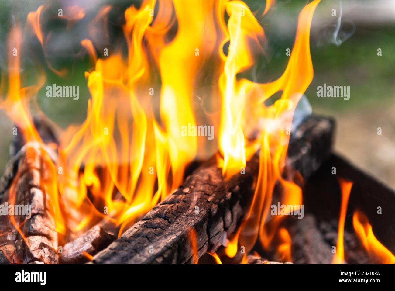 Burning fire. Flames with smoke rise up. Burning wood at close range ...