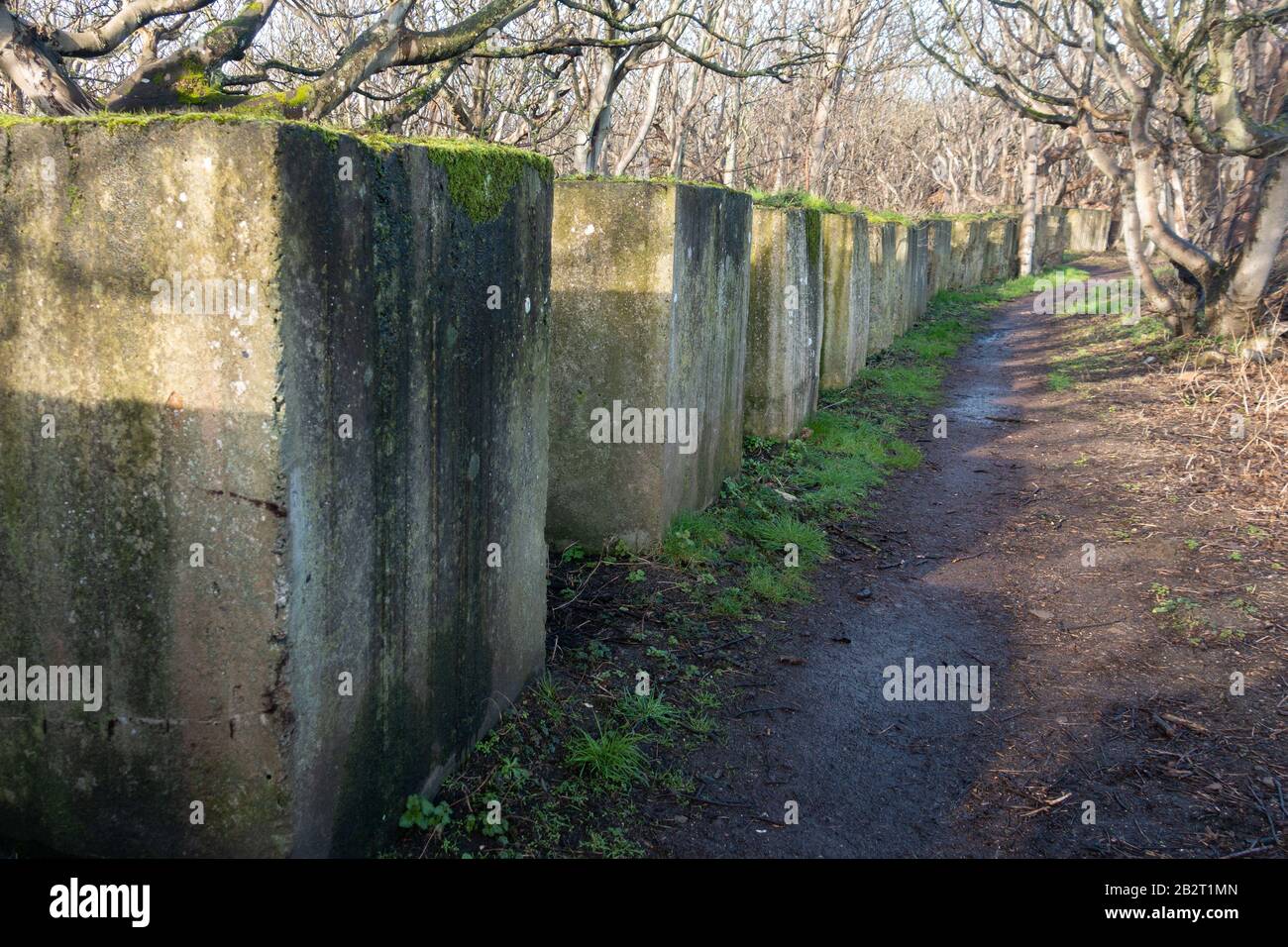 Anti tank concrete blocks hi-res stock photography and images - Alamy
