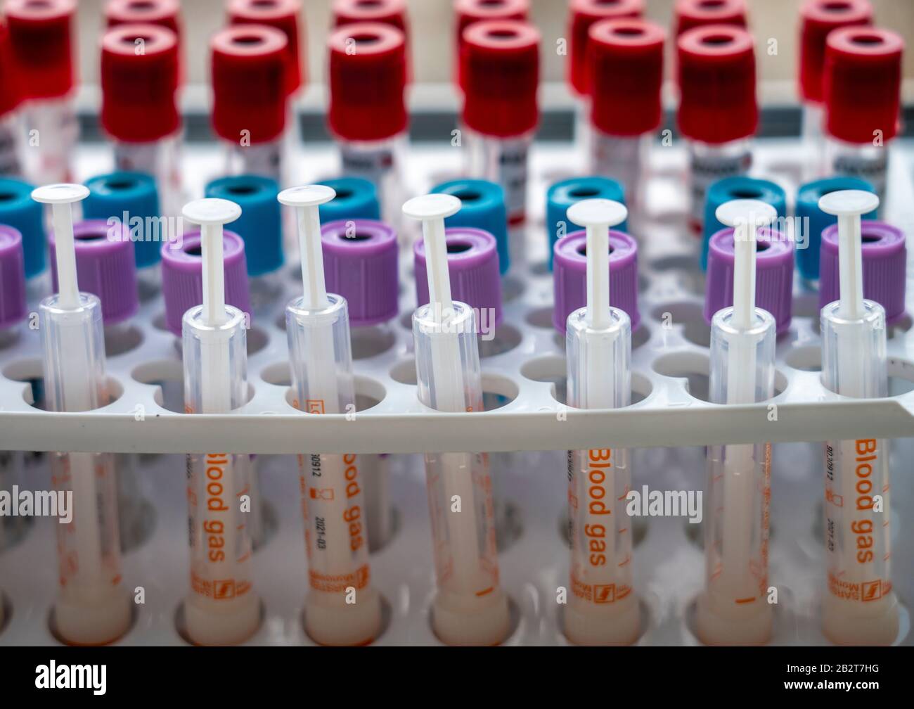 Vials of blood tests hi-res stock photography and images - Alamy