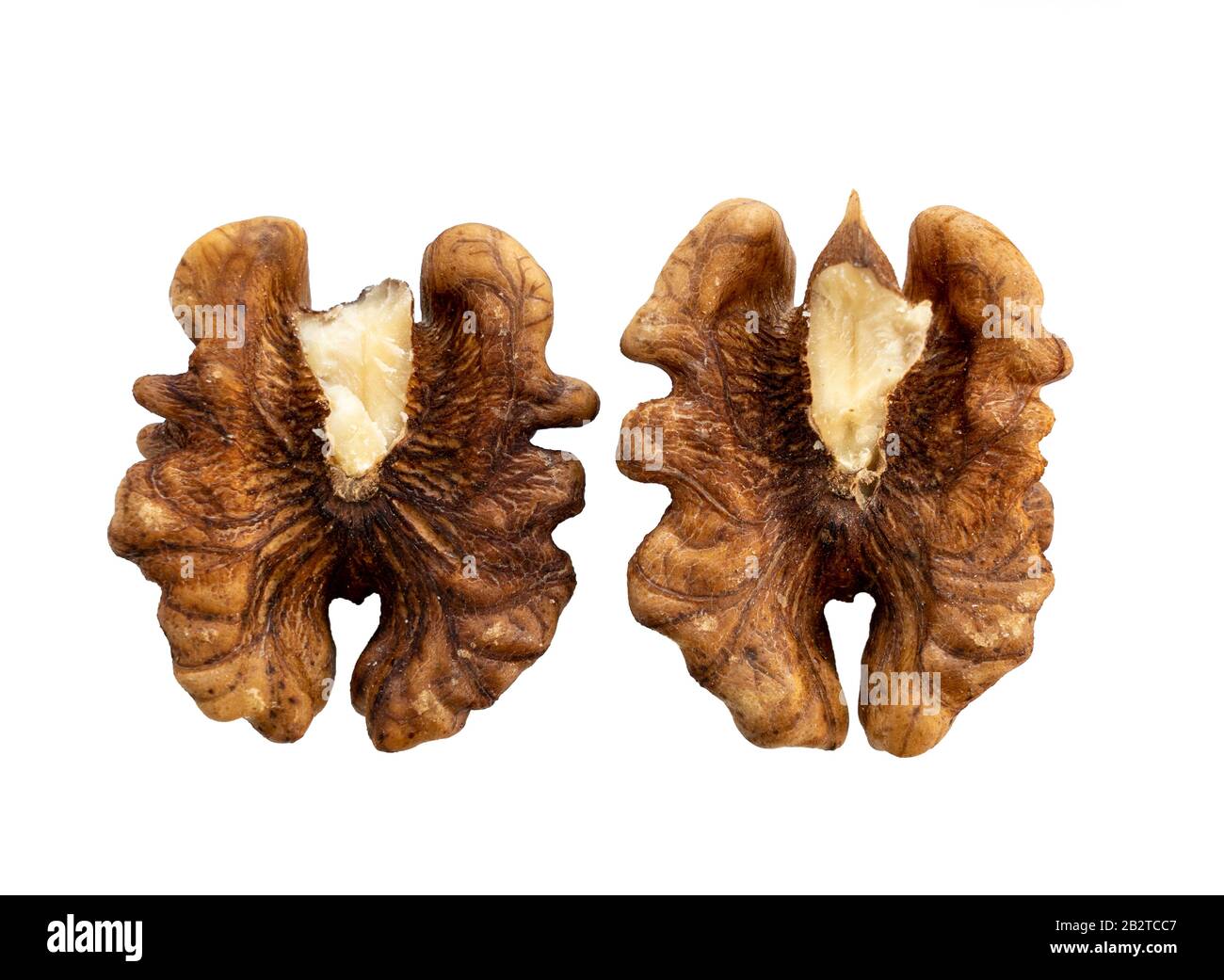 two halves of walnut kernels, isolate on a white background Stock Photo ...