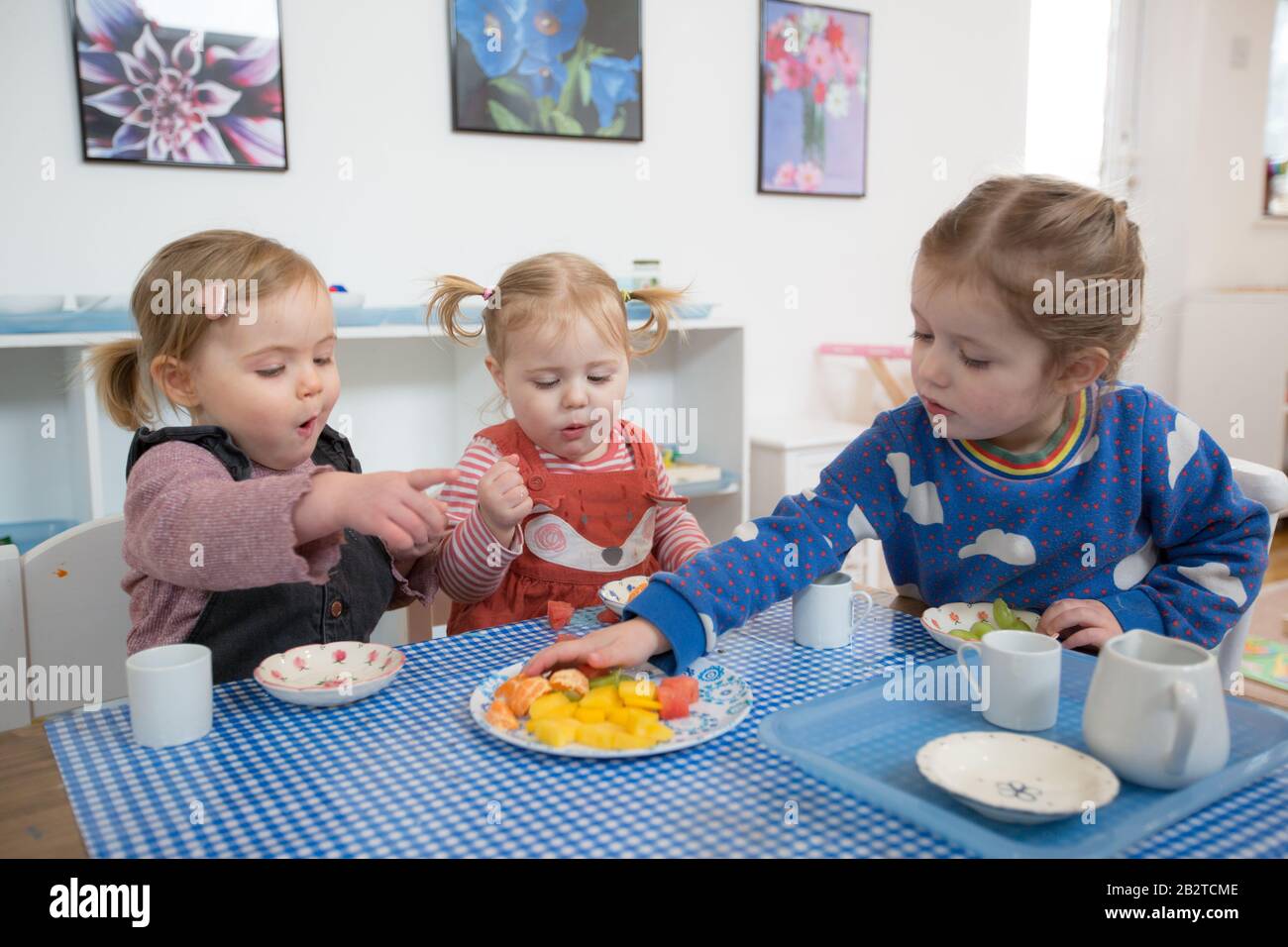 Toddlers Sharing A Plate Of Fruit Nursery School UK Stock Photo Alamy toddlers-sharing-a-plate-of-fruit-nursery-school-uk-stock-photo-alamy