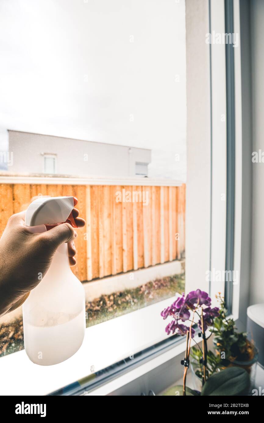 hand cleaning window with spray detergent. Spring cleanup Stock Photo ...