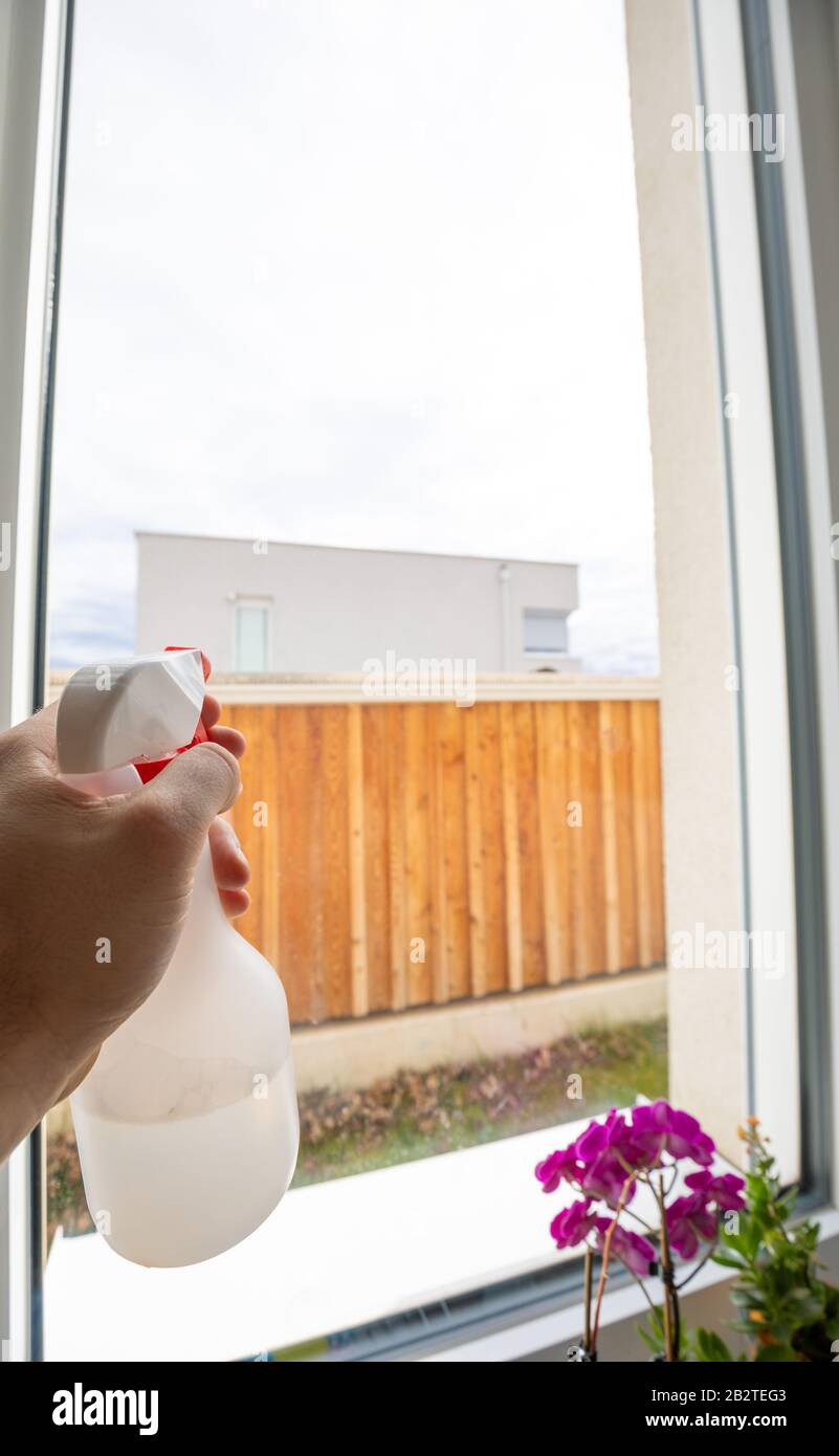 hand cleaning window with spray detergent. Spring cleanup Stock Photo ...