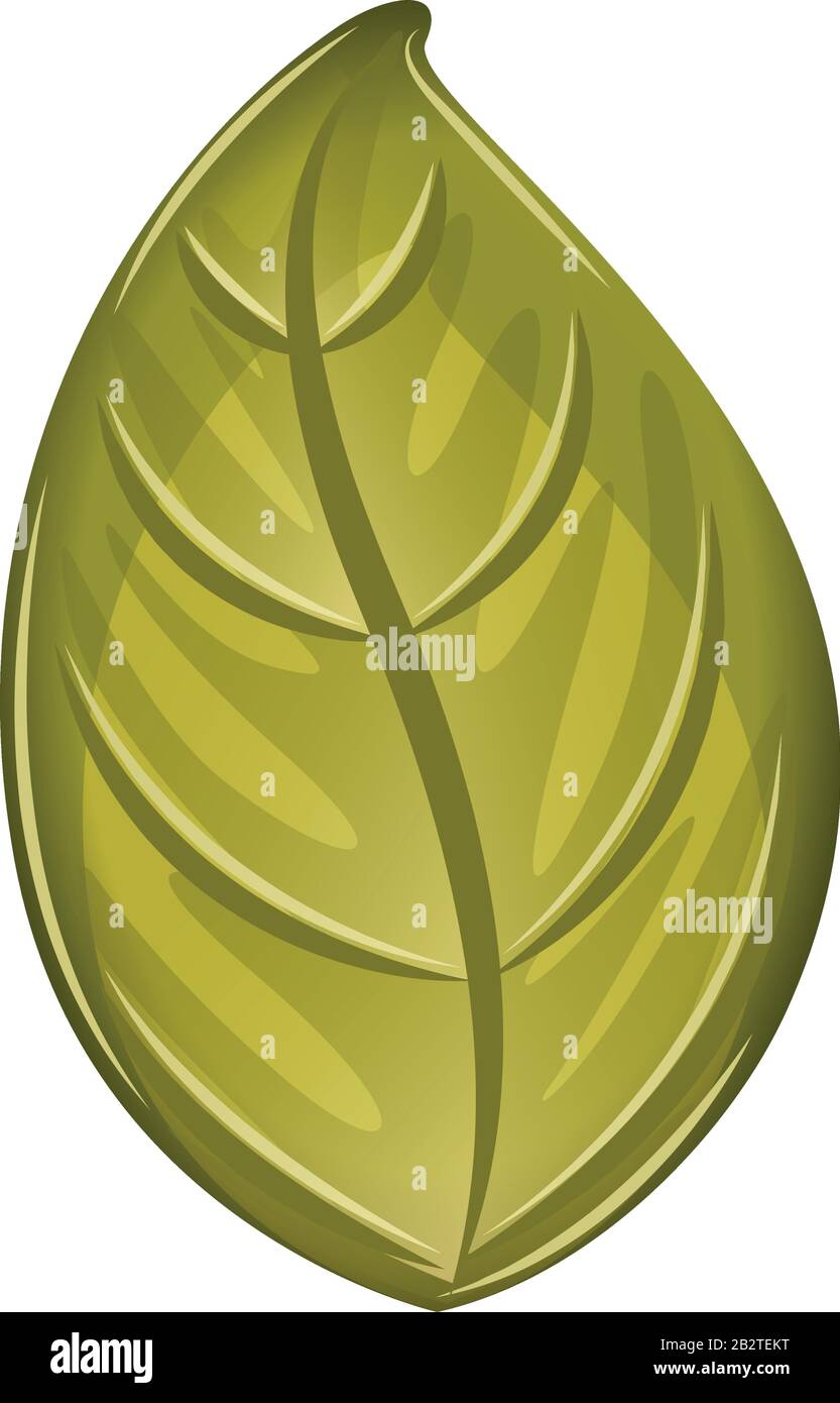 Isolated realistic leaf Stock Vector Image & Art - Alamy