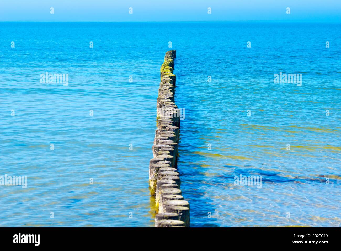 Groynes from logs hi-res stock photography and images - Alamy
