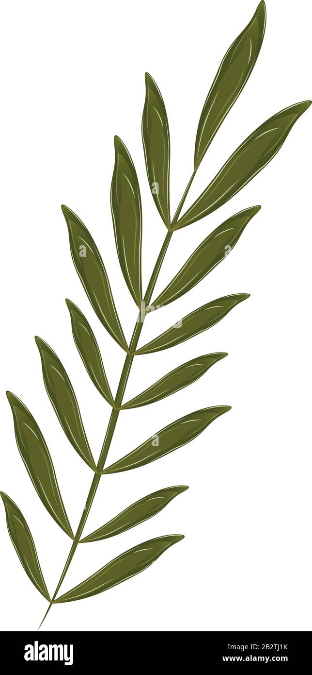 Isolated realistic leaf Stock Vector Image & Art - Alamy