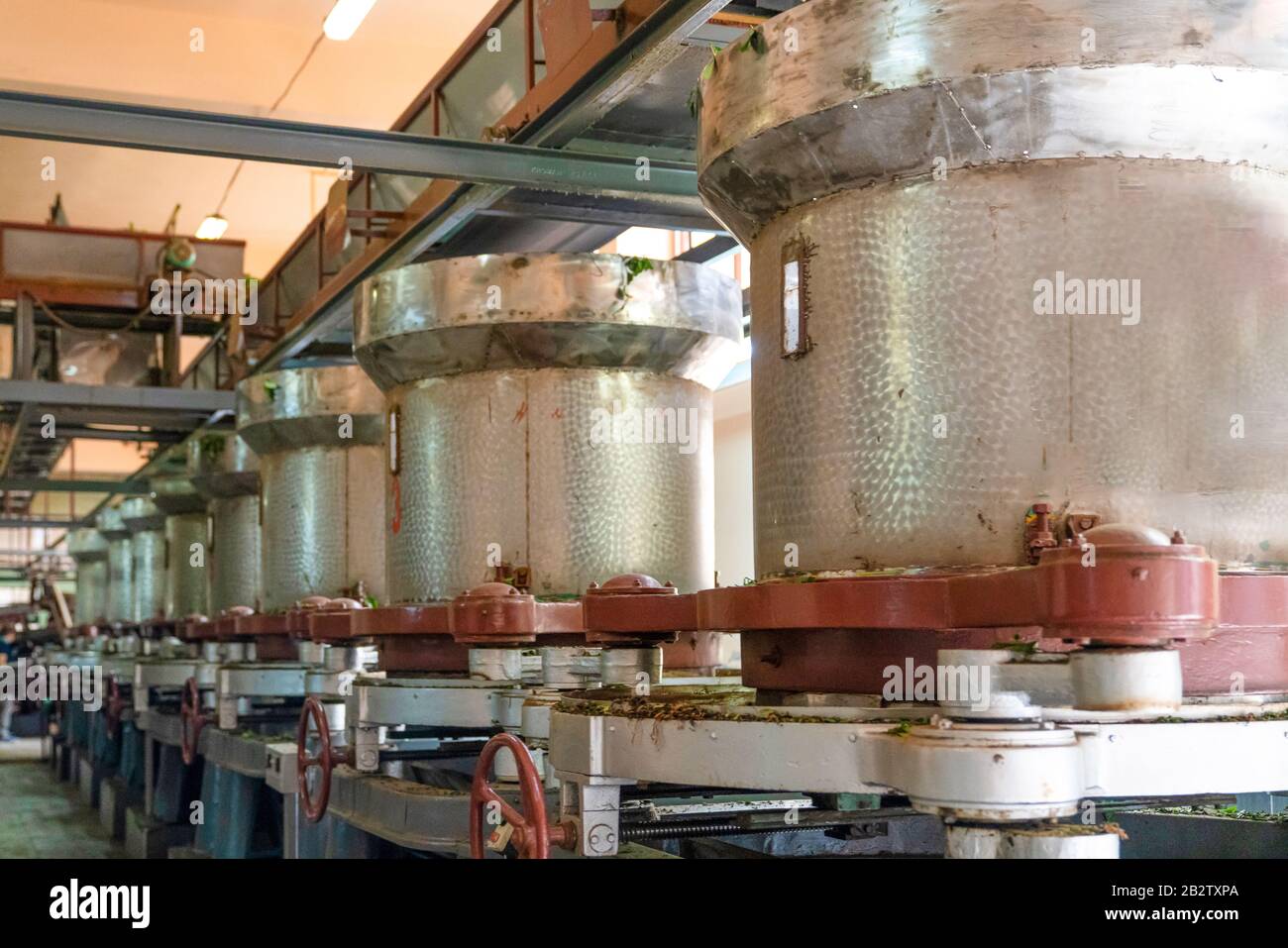 Tea manufacturing hi-res stock photography and images - Alamy