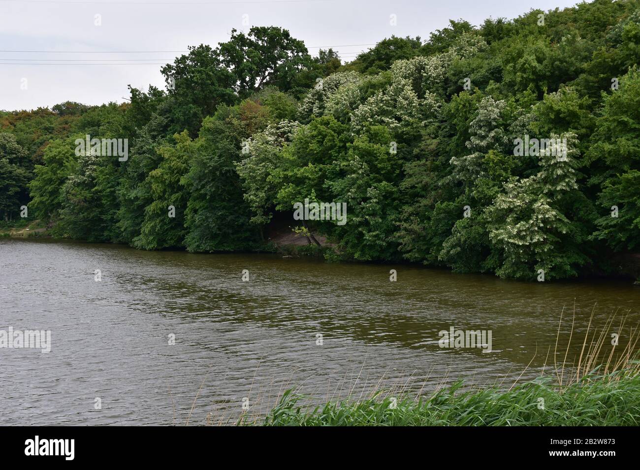 Resnik beograd hi-res stock photography and images - Alamy