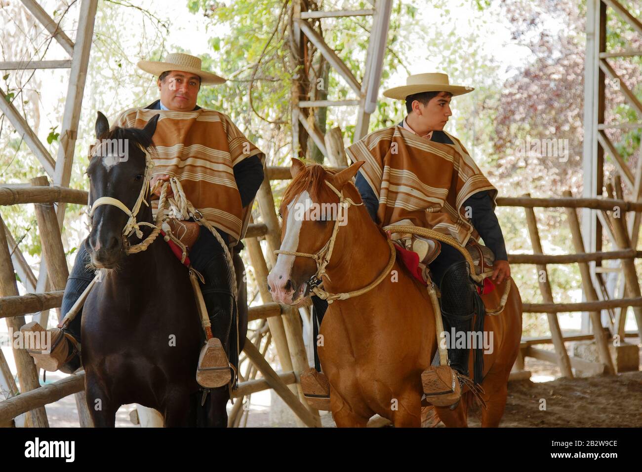 Black riding boots hi-res stock photography and images - Alamy