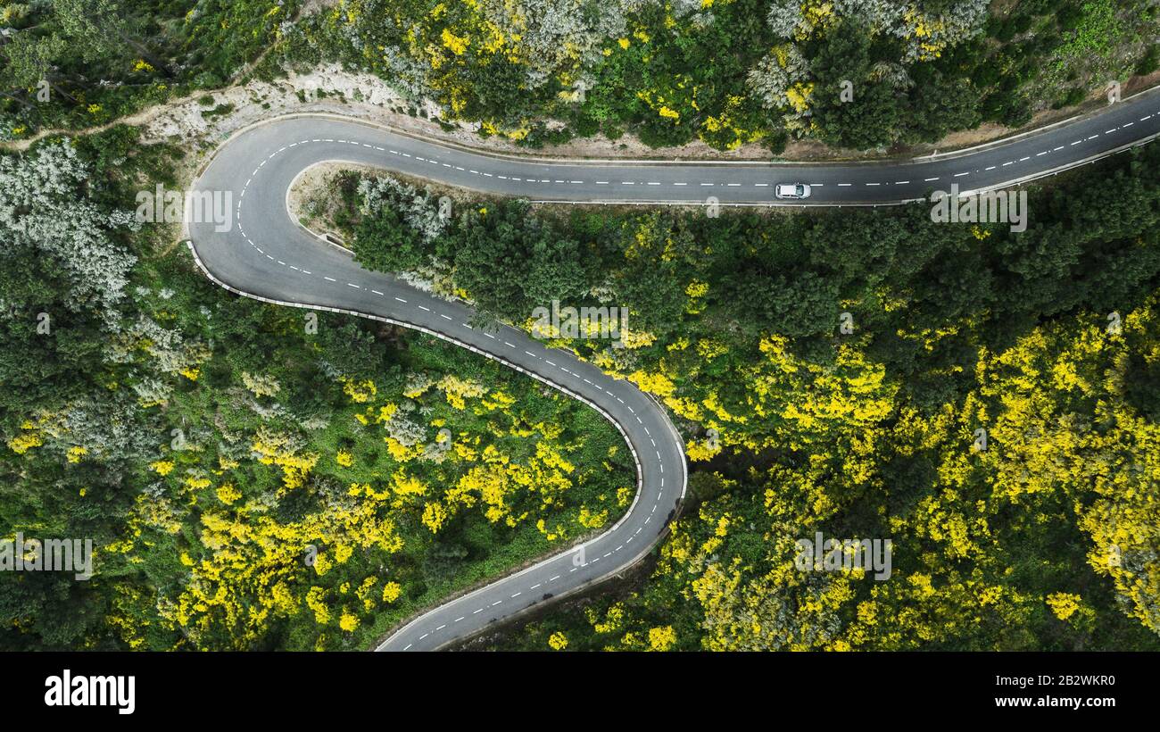 Aerial view of road in forest Stock Photo - Alamy
